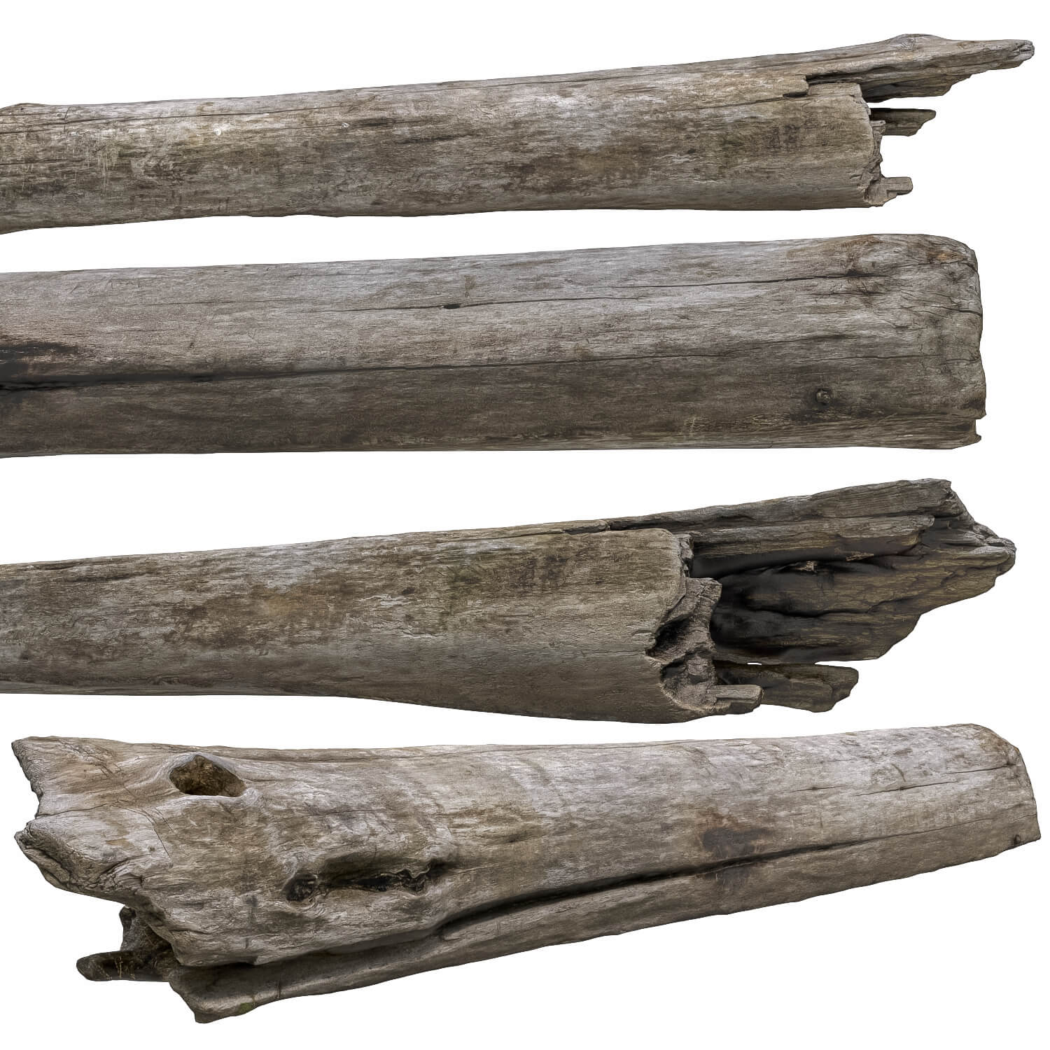 Old Wooden Log - 3D Model by 3Dimention