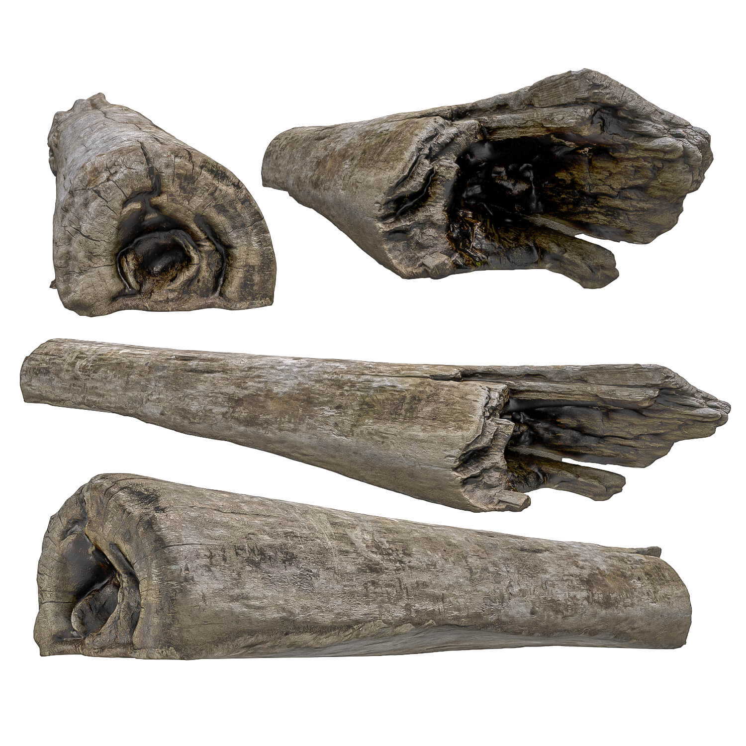 Old Wooden Log - 3D Model by 3Dimention