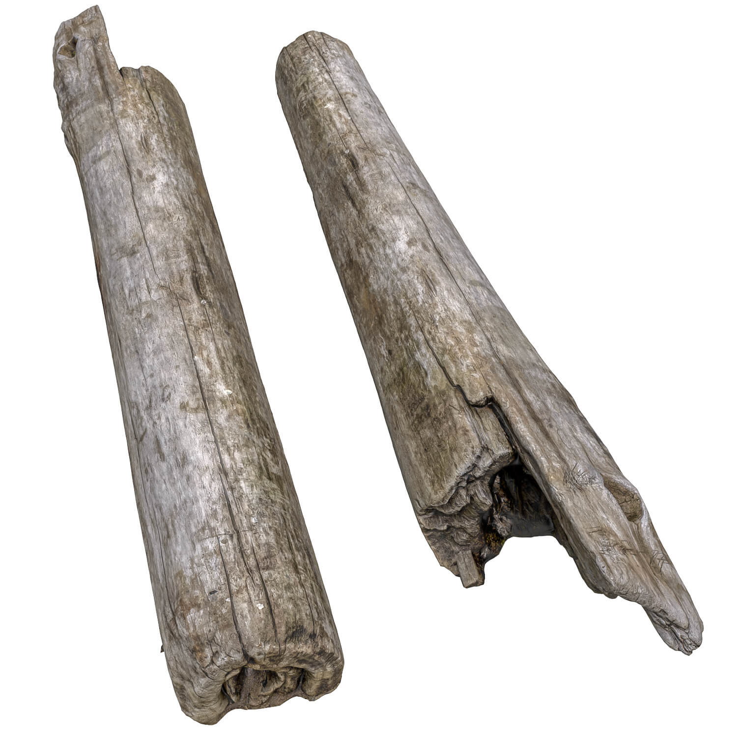 Old Wooden Log - 3D Model by 3Dimention