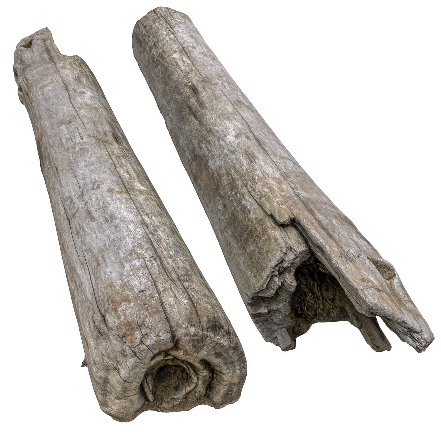 Old Wooden Log - 3D Model by 3Dimention