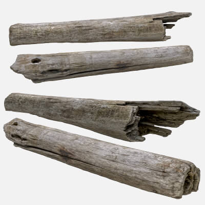 Old Wooden Log - 3D Model by 3Dimention