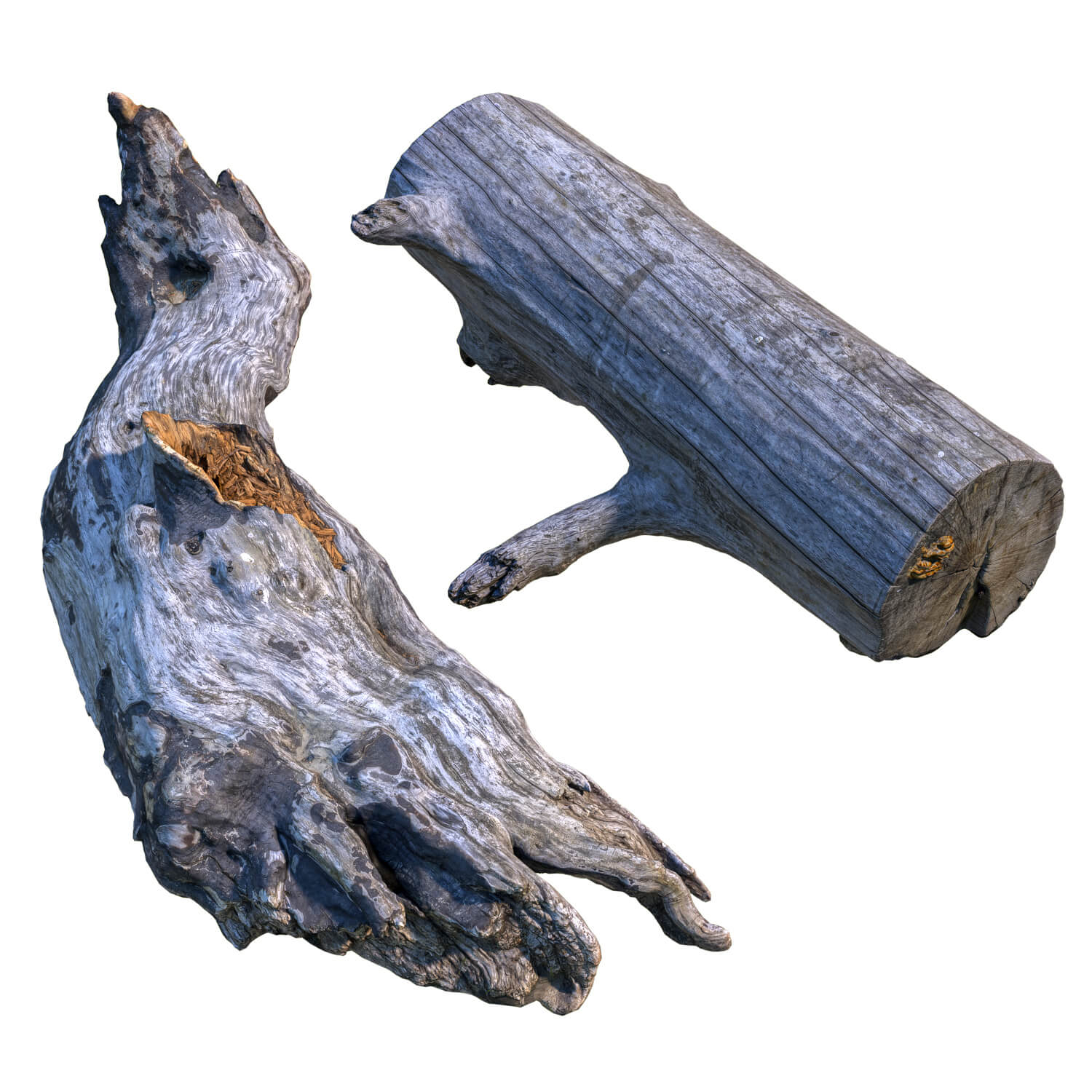 Old Tree Trunks, Logs - 3D Model by 3Dimention