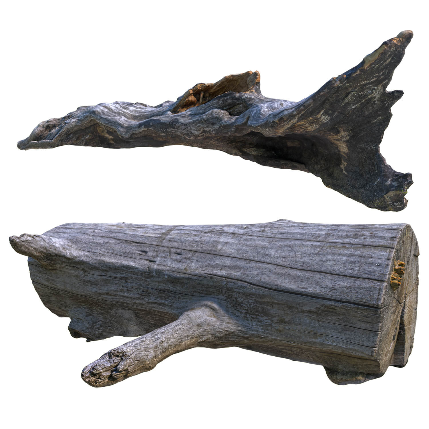 Old Tree Trunks, Logs - 3D Model by 3Dimention