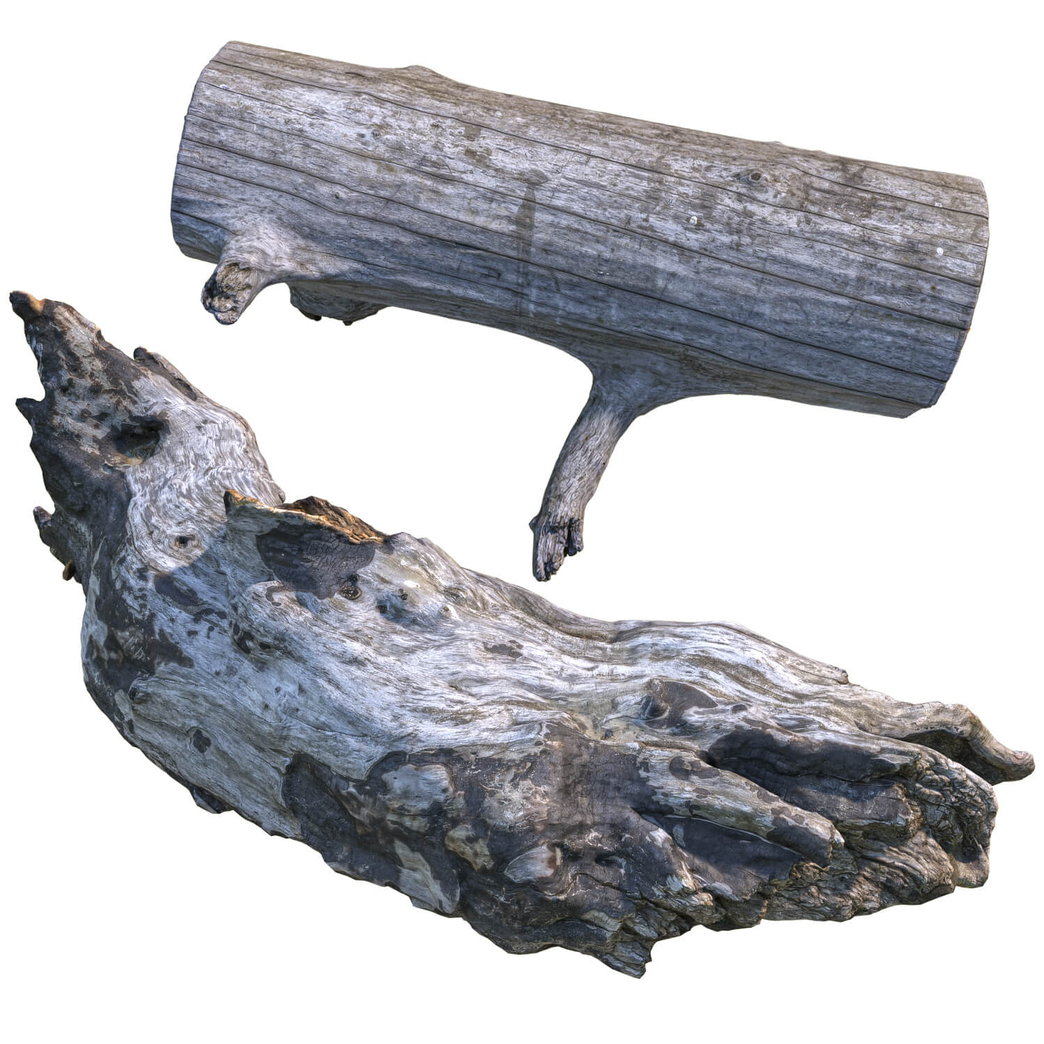 Old Tree Trunks, Logs - 3D Model by 3Dimention