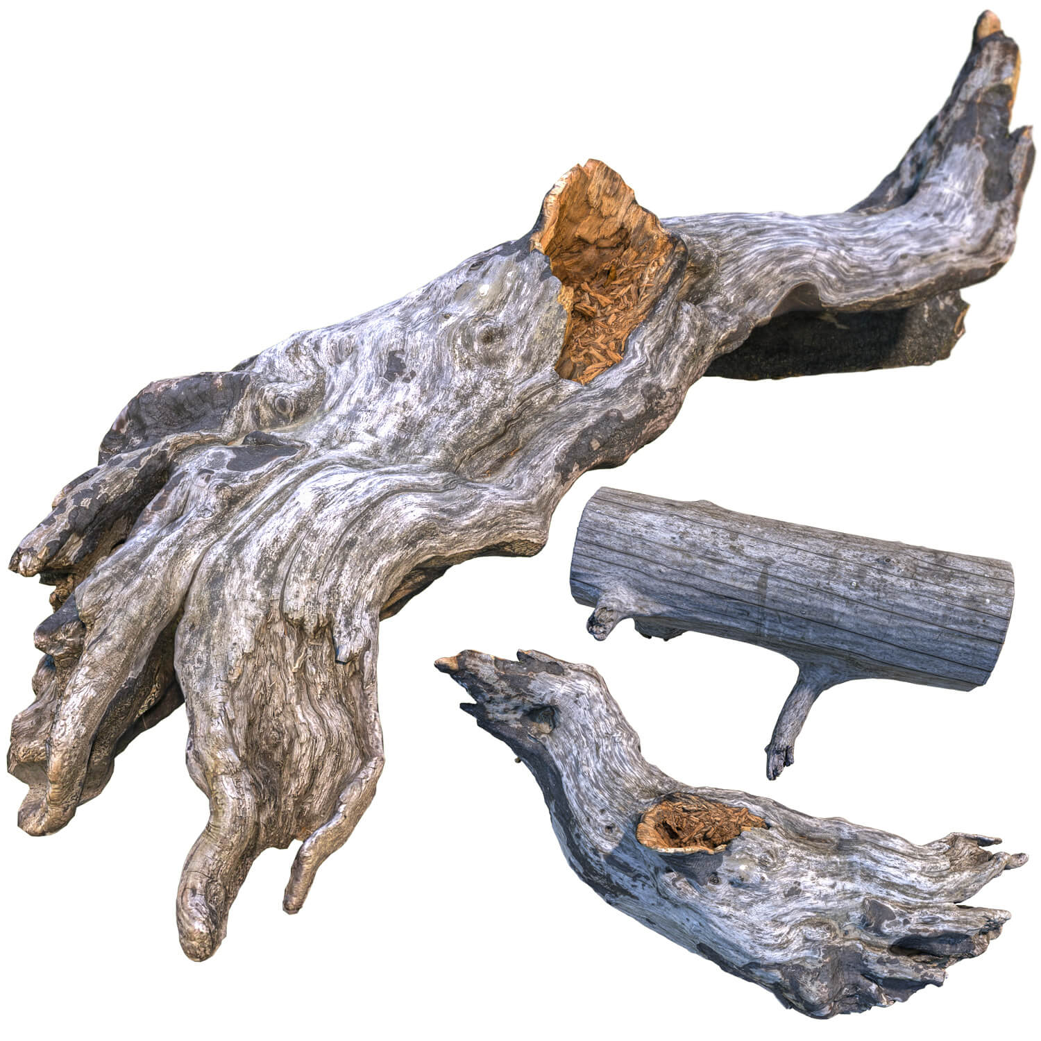 Old Tree Trunks, Logs - 3D Model by 3Dimention