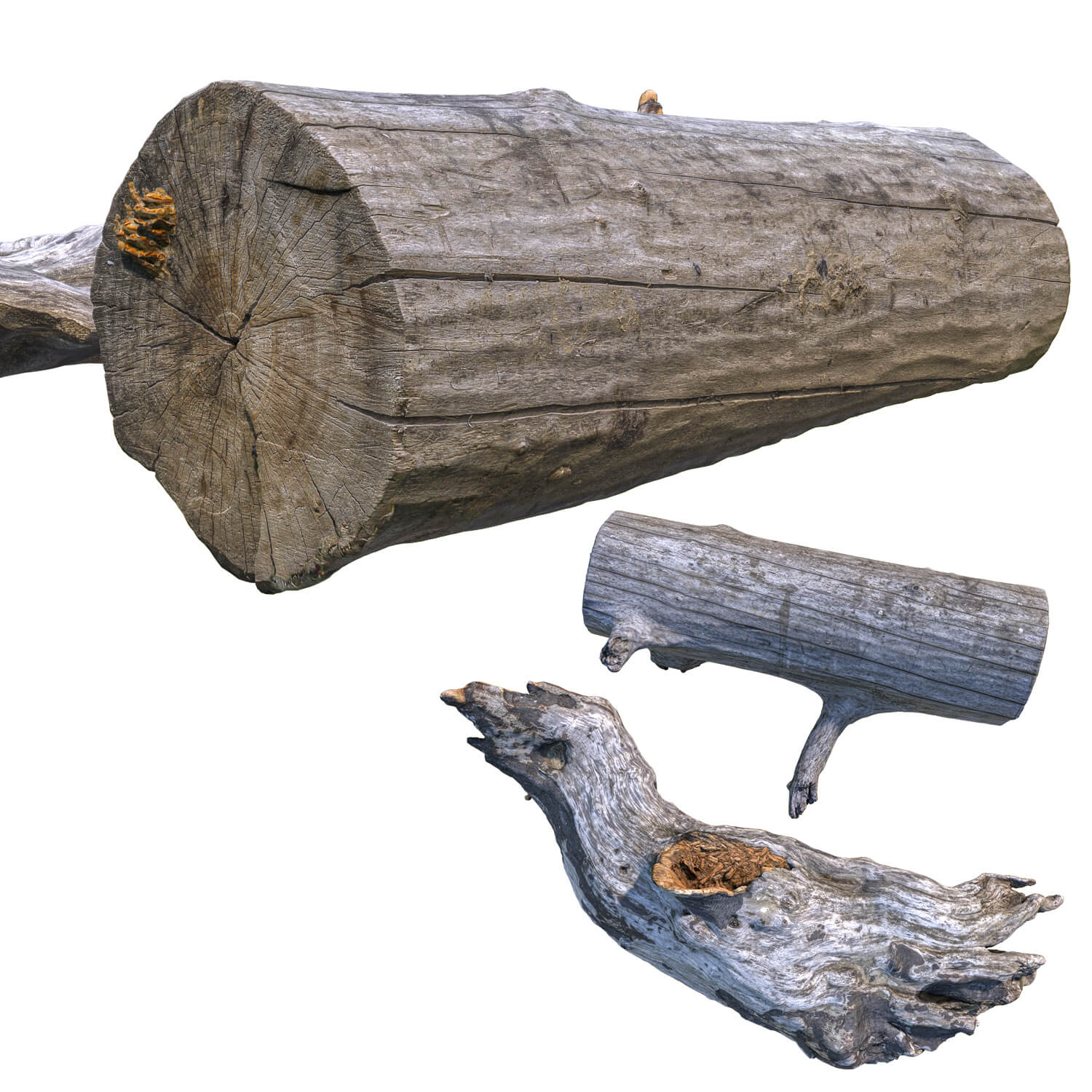 Old Tree Trunks, Logs - 3D Model by 3Dimention