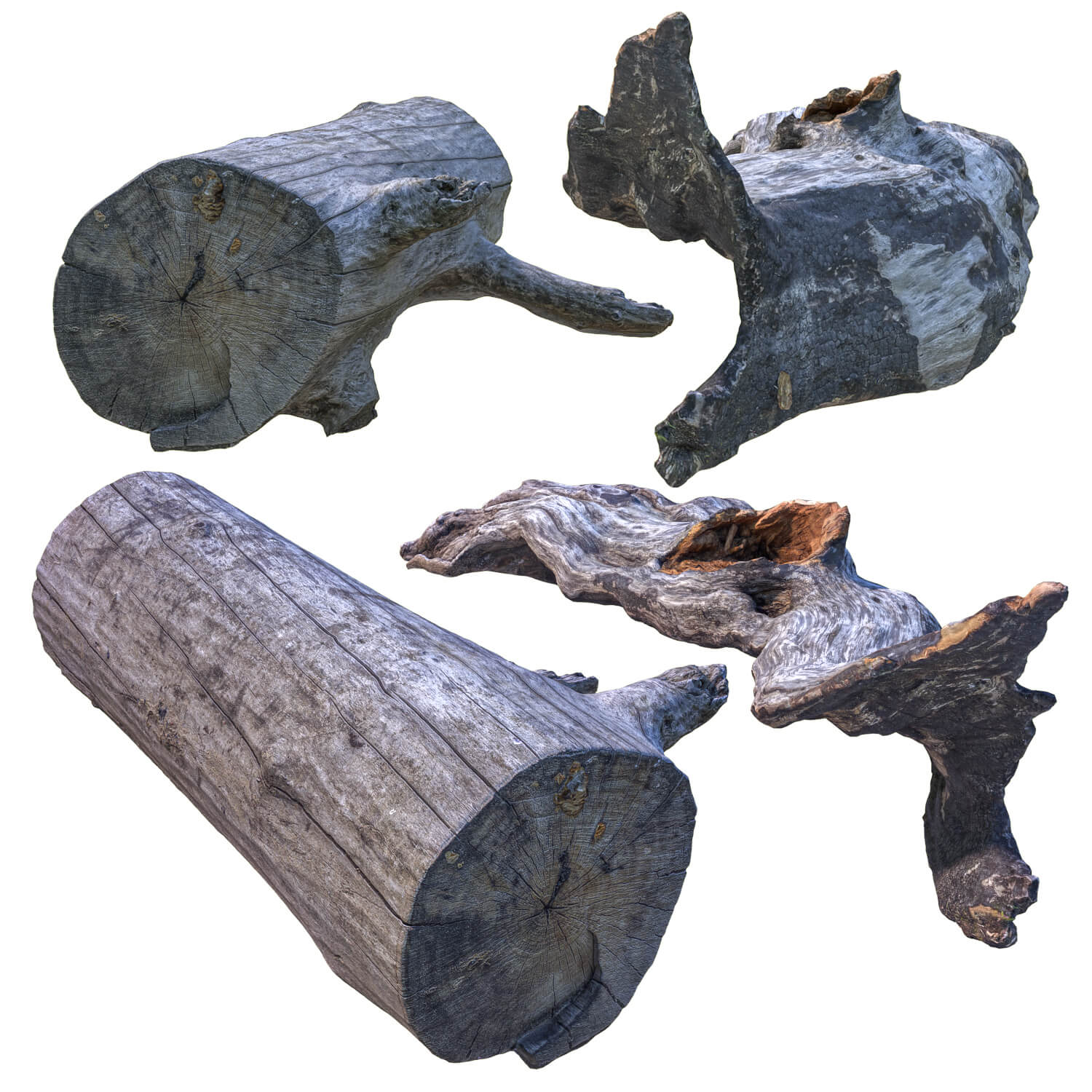 Old Tree Trunks, Logs - 3D Model by 3Dimention