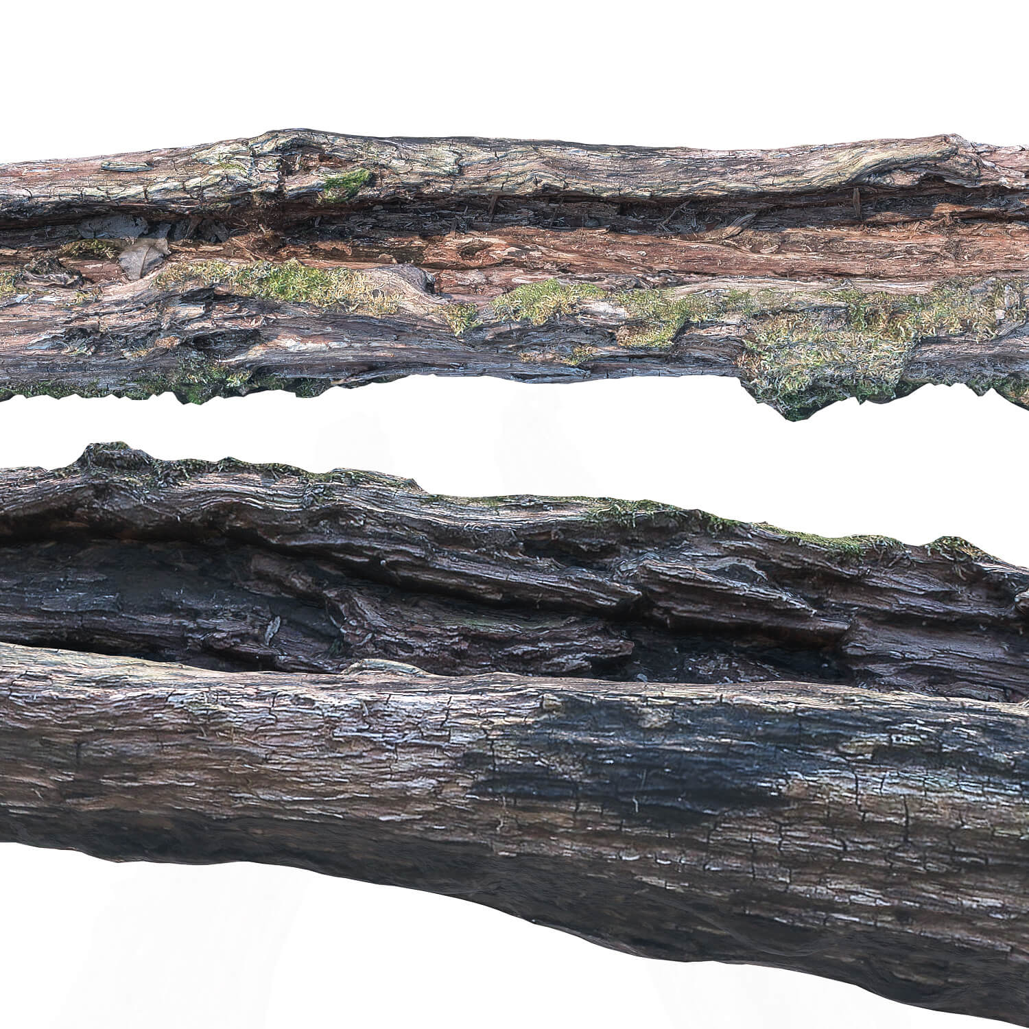 Rotten Log, Snag - 3D Model by 3Dimention