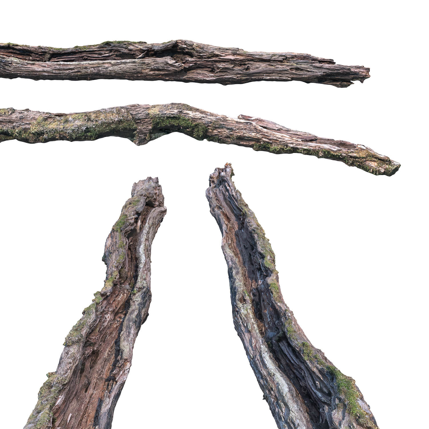 Rotten Log, Snag - 3D Model by 3Dimention