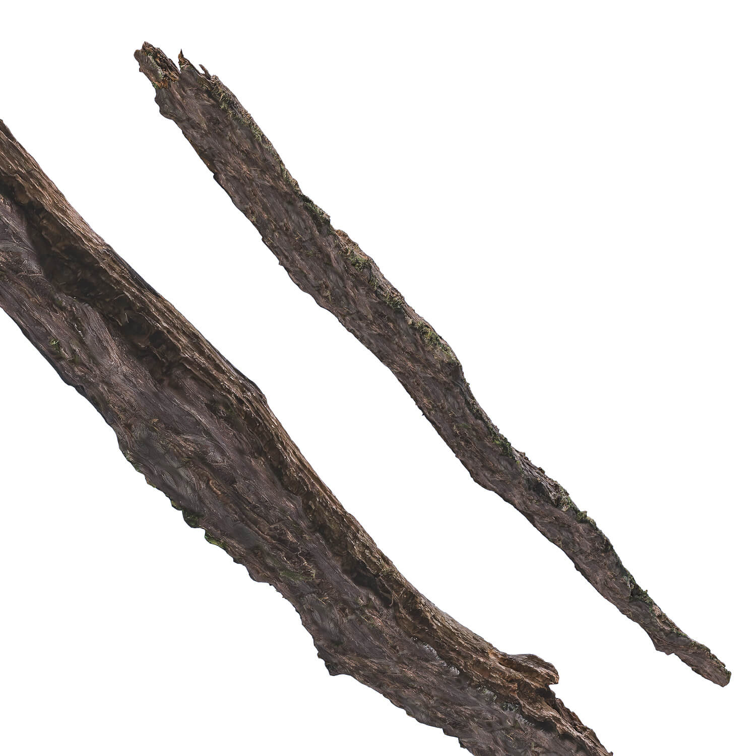 Rotten Log, Snag - 3D Model by 3Dimention