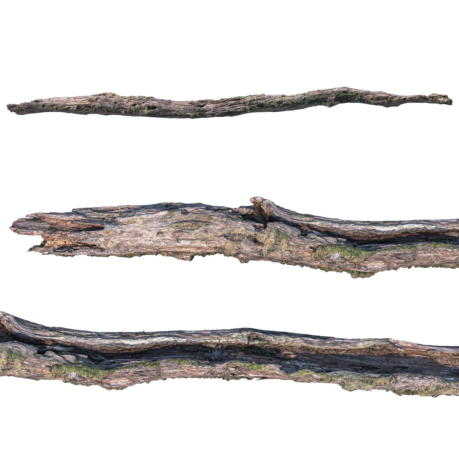Rotten Log, Snag - 3D Model by 3Dimention