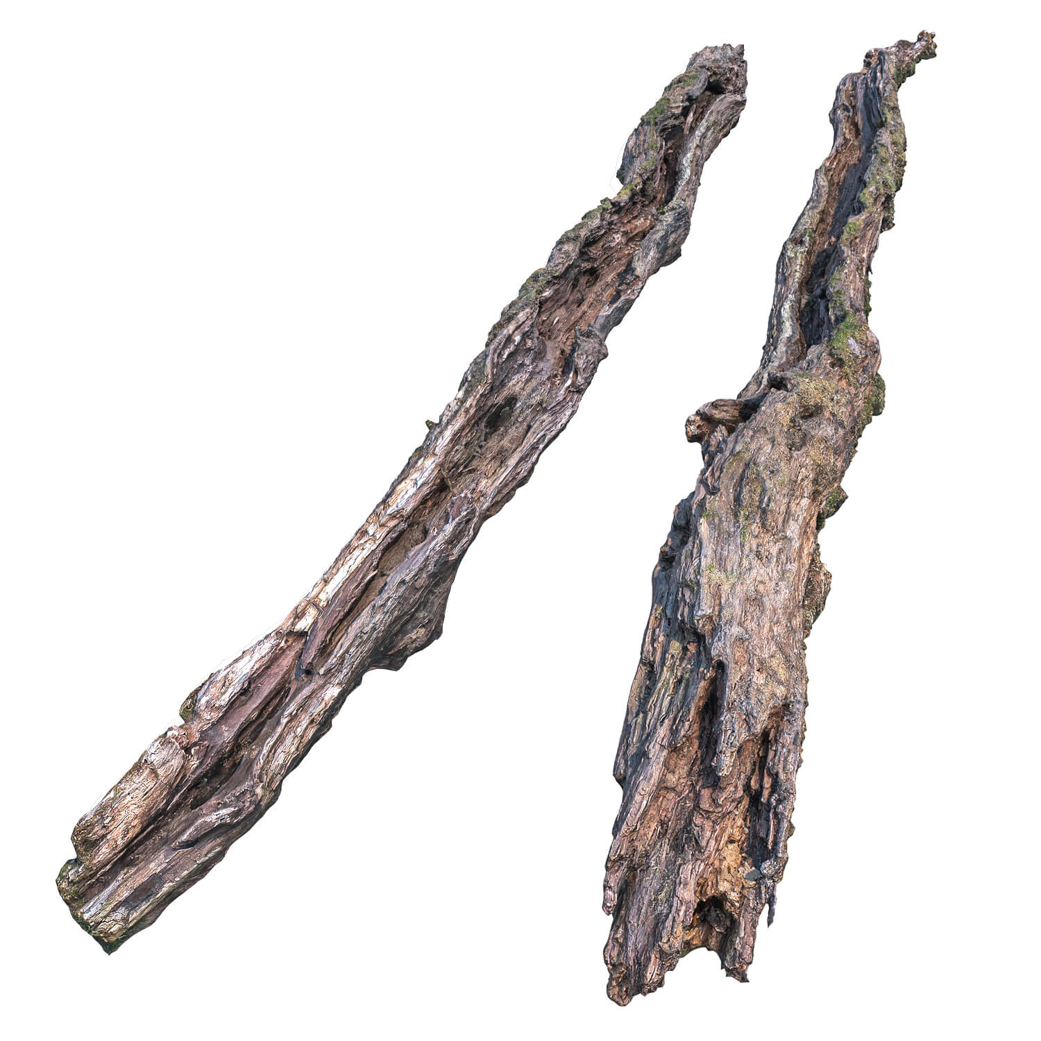 Rotten Log, Snag - 3D Model by 3Dimention