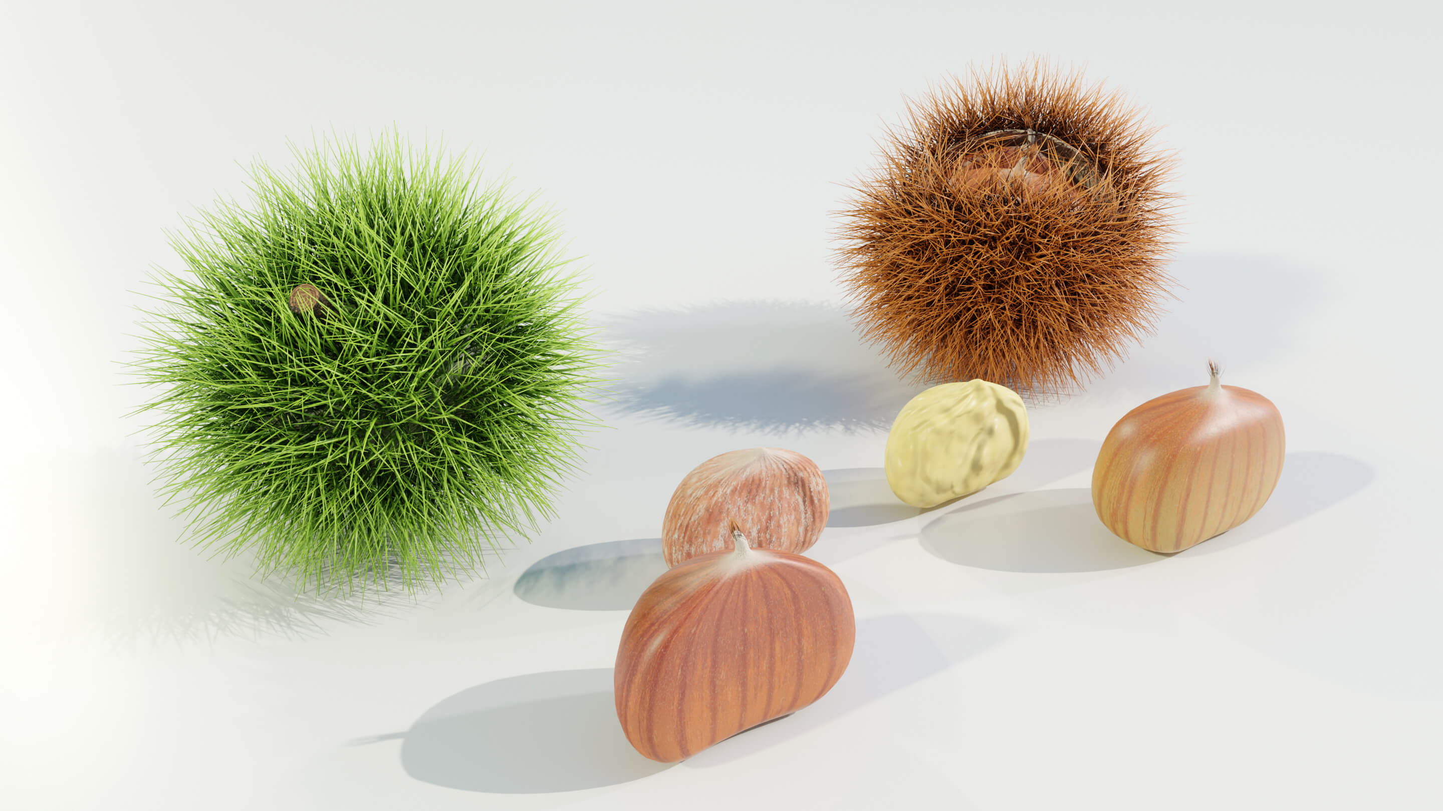Chestnuts With Hedgehog - 3D Model by 3Dmae