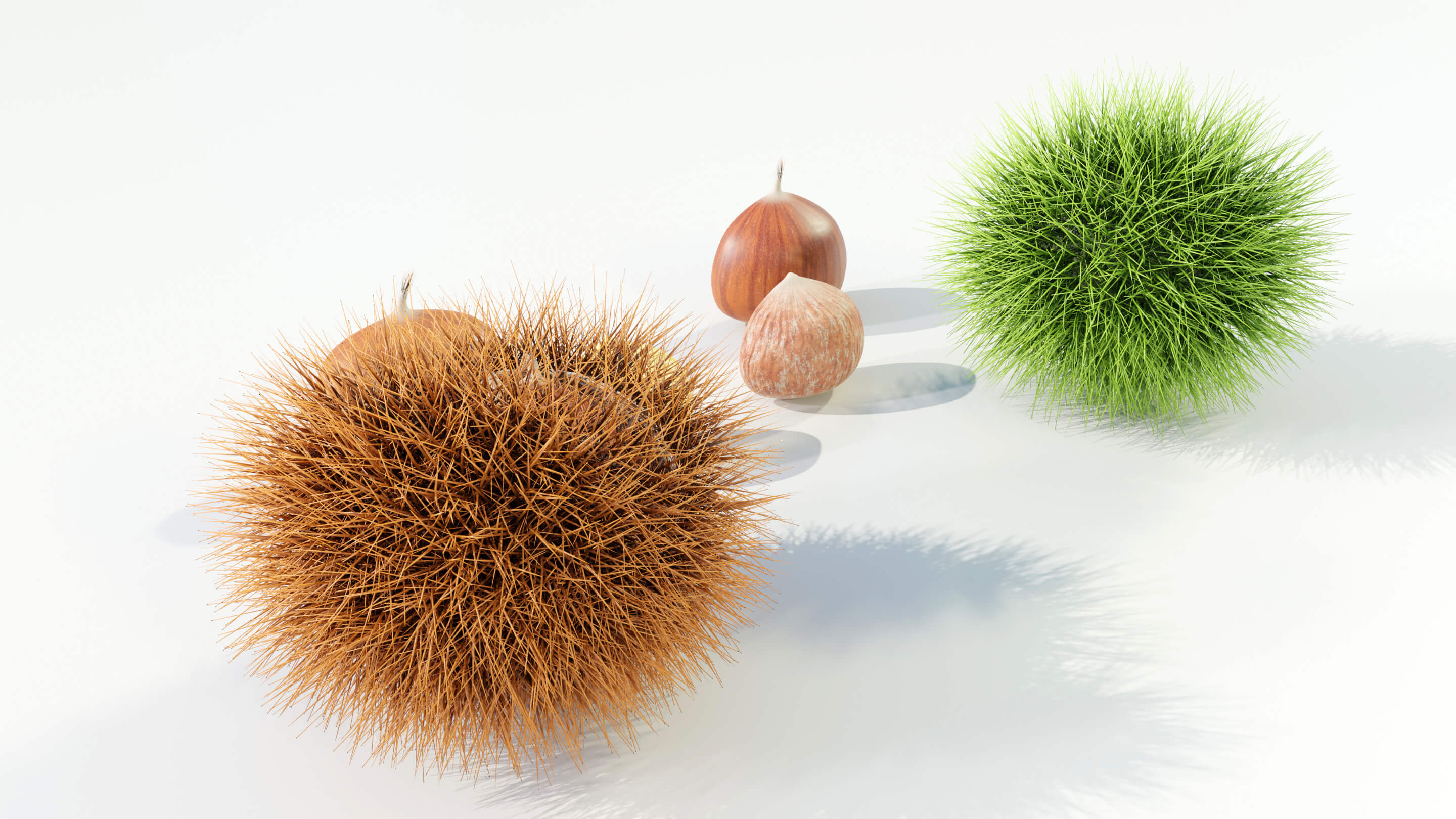Chestnuts With Hedgehog - 3D Model by 3Dmae