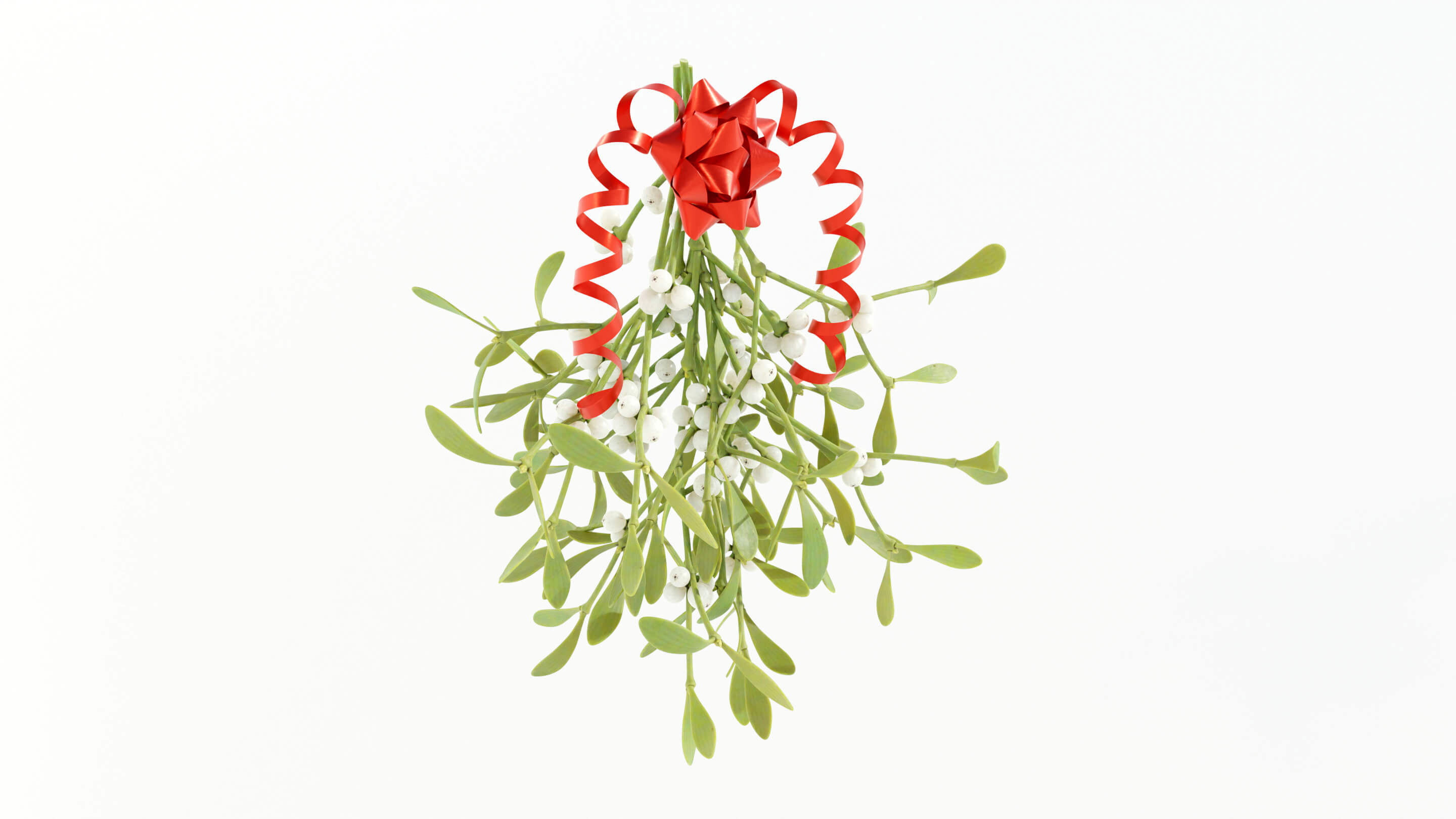 Mistletoe Bunch - 3D Model by 3Dmae