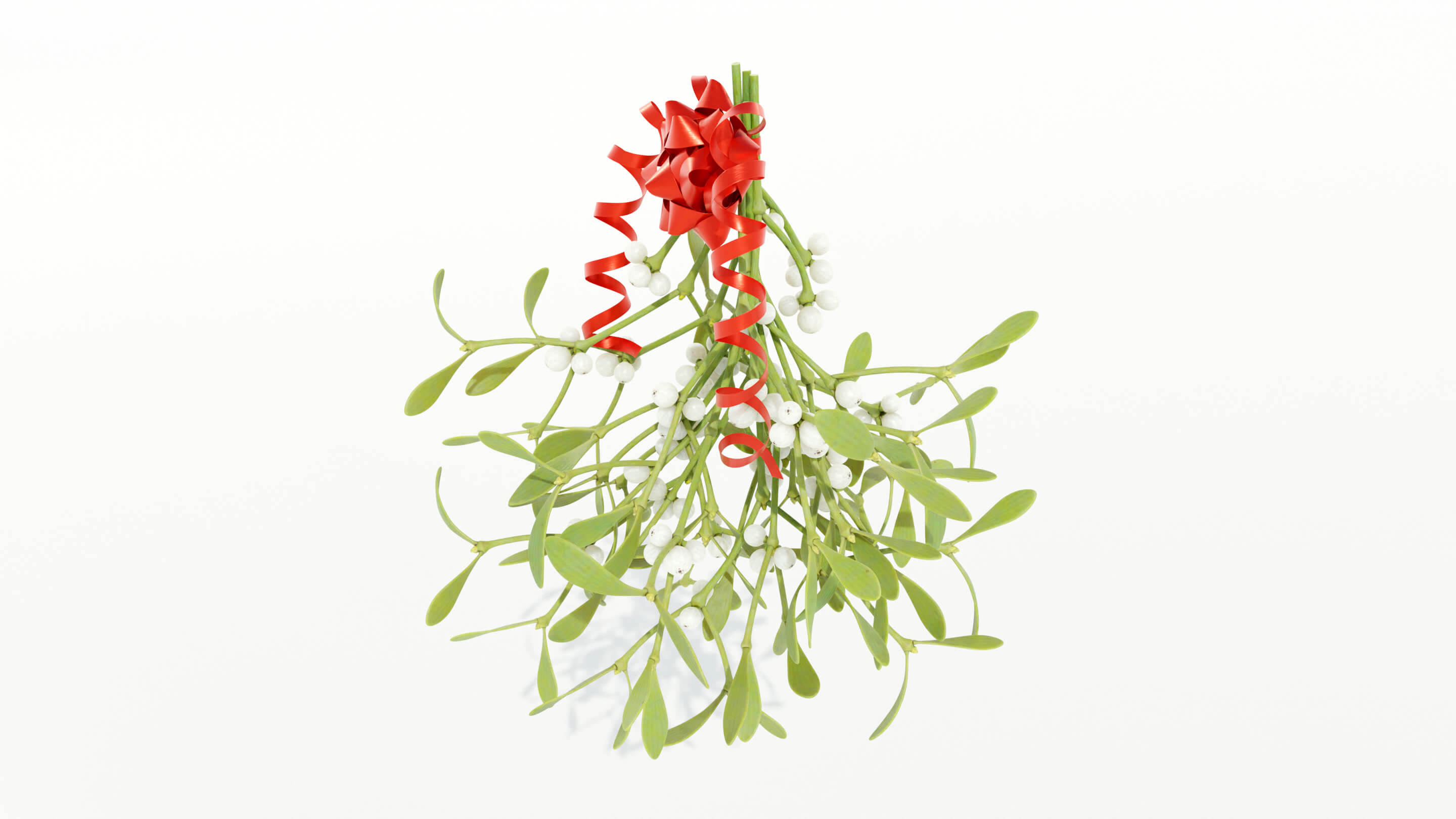 Mistletoe Bunch - 3D Model by 3Dmae