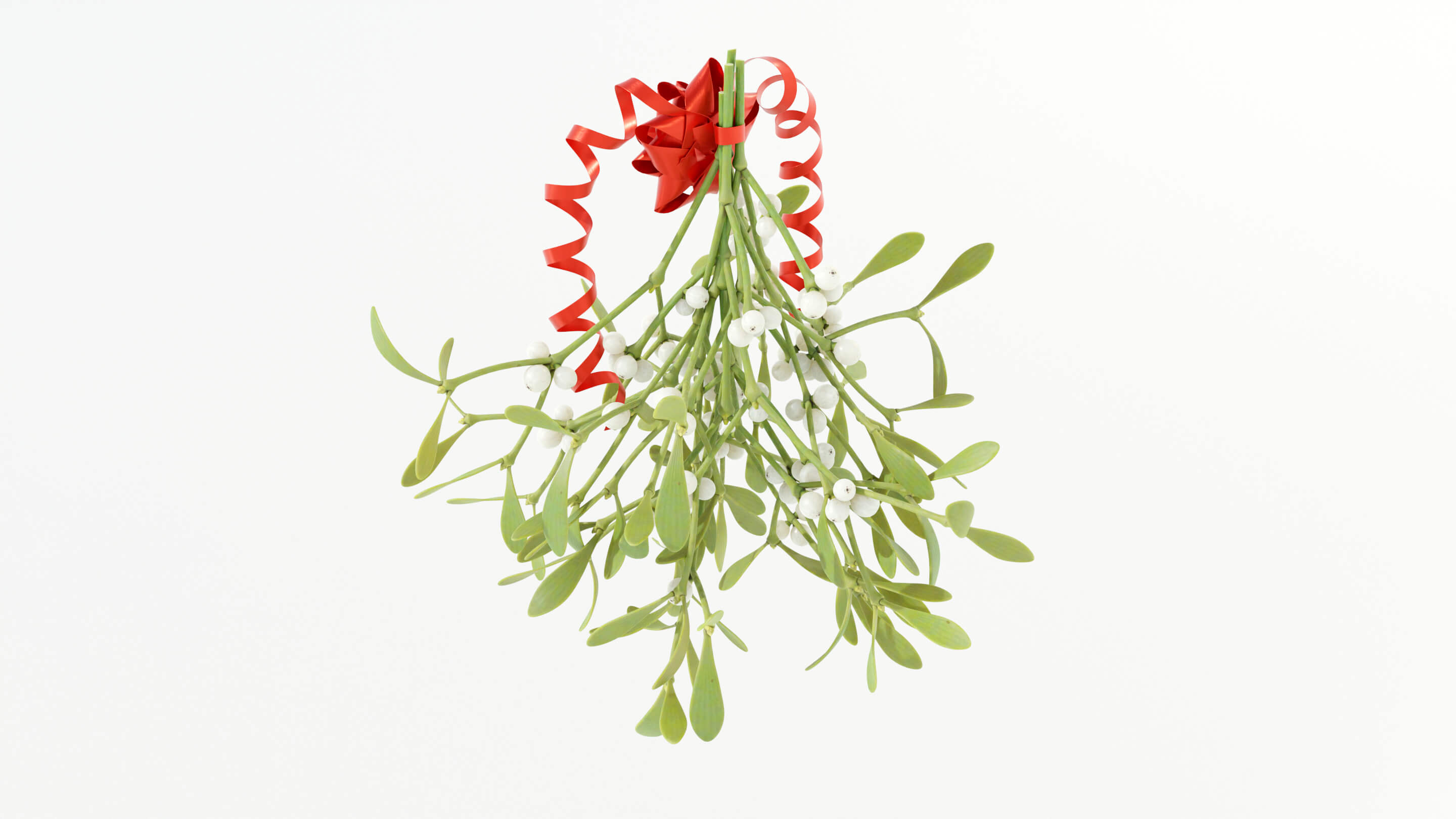 Mistletoe Bunch - 3D Model by 3Dmae