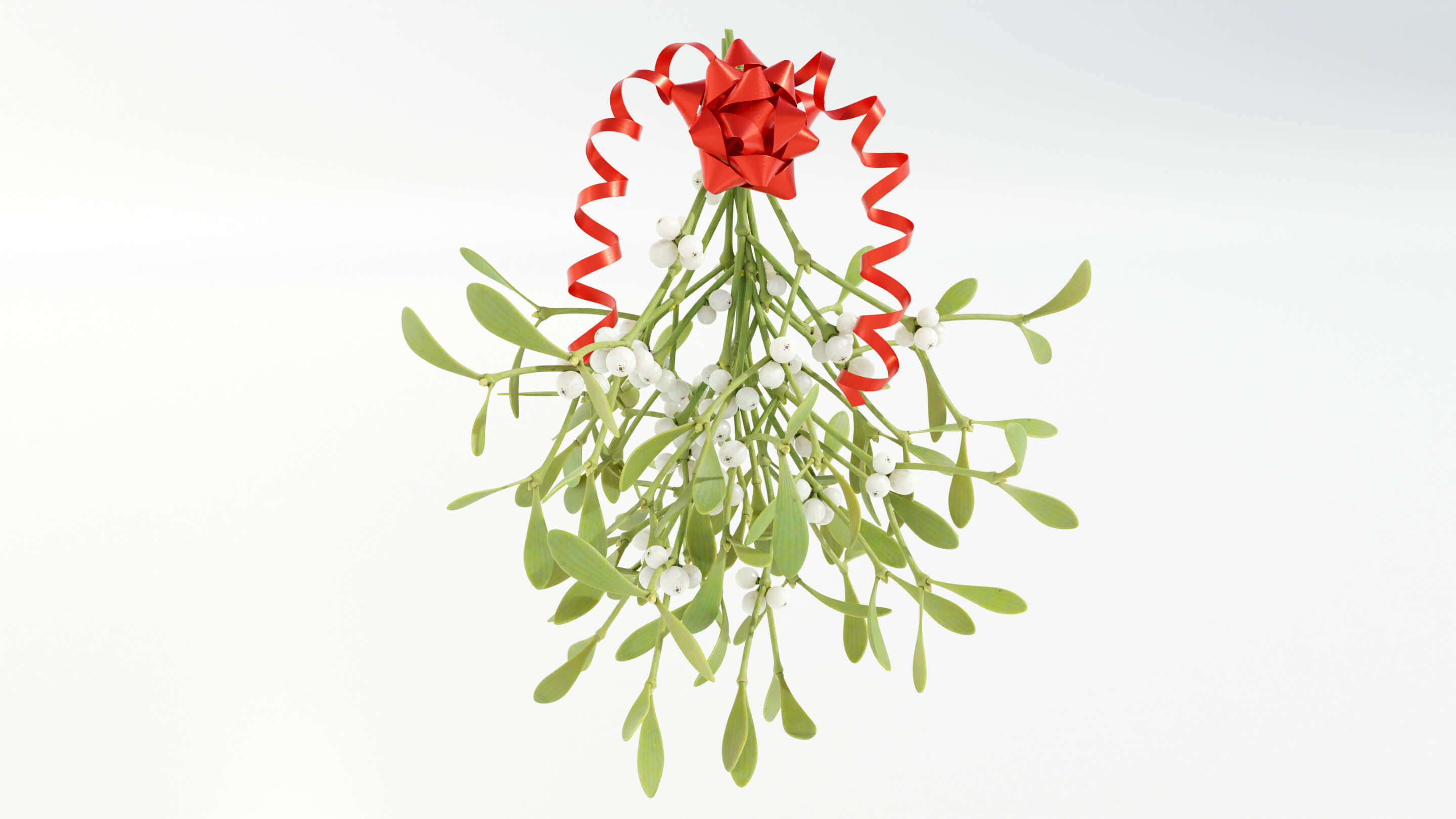 Mistletoe Bunch - 3D Model by 3Dmae