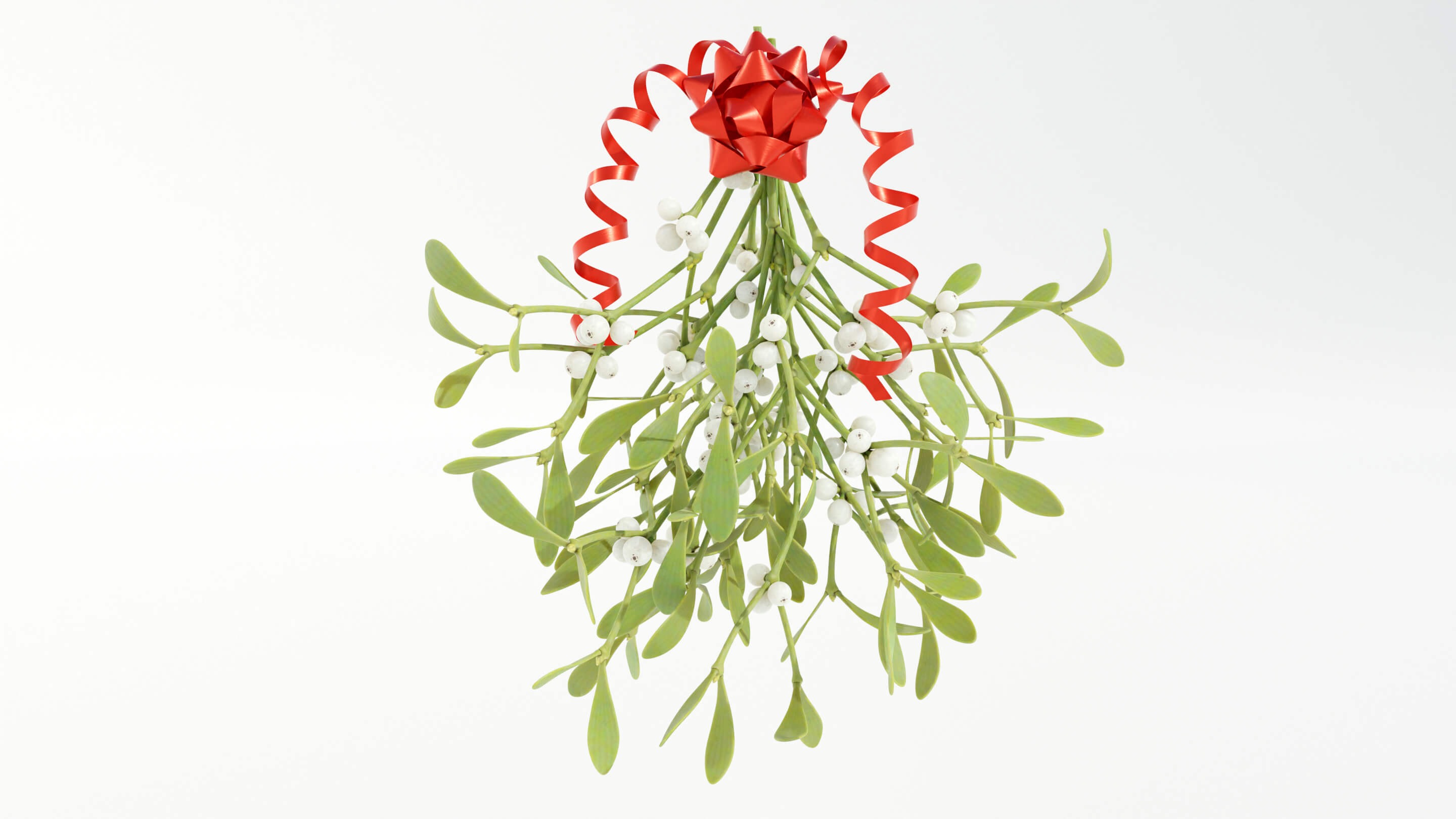 Mistletoe Bunch - 3D Model by 3Dmae