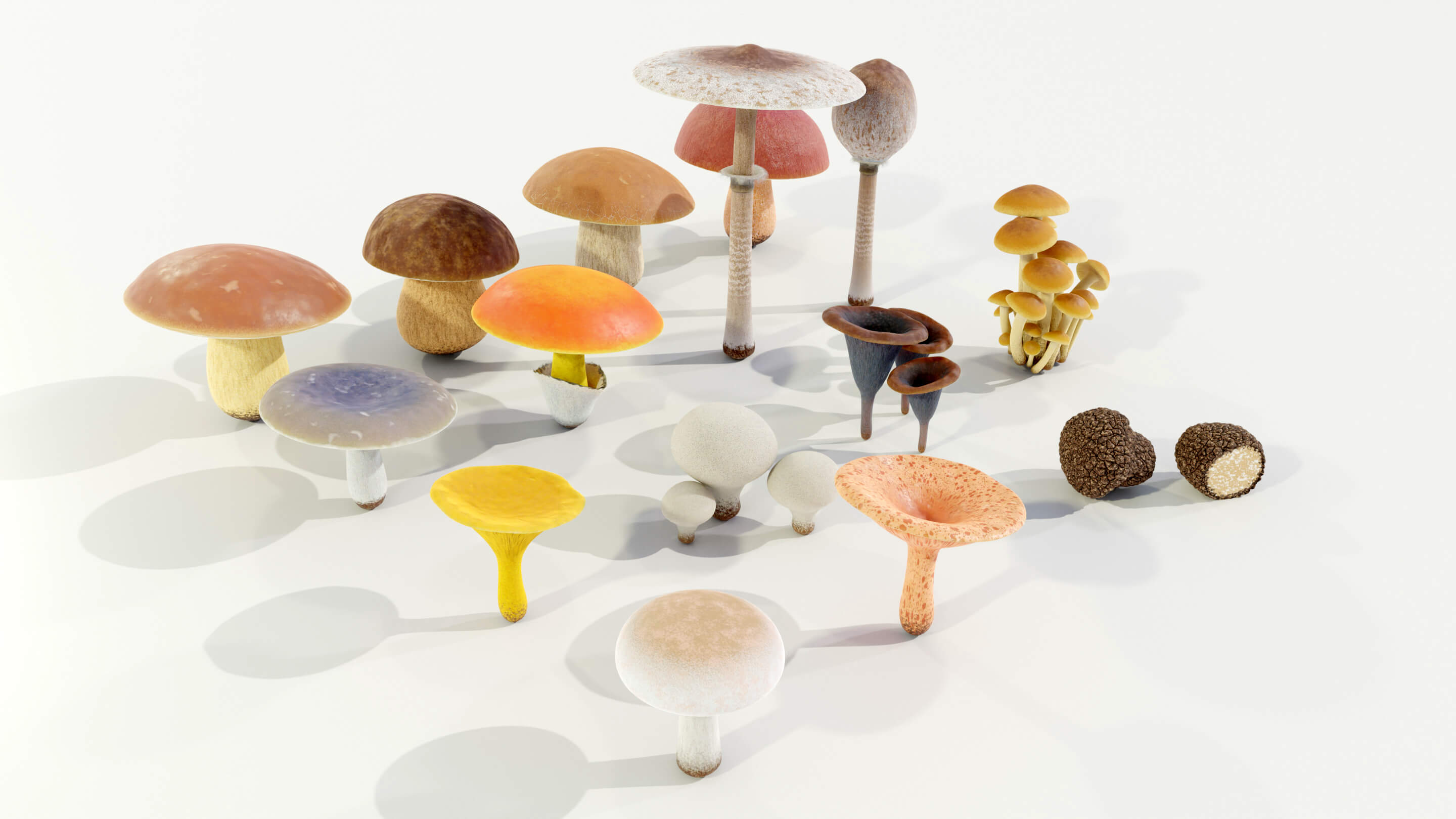 Mushrooms Collection - 3D Model by 3Dmae