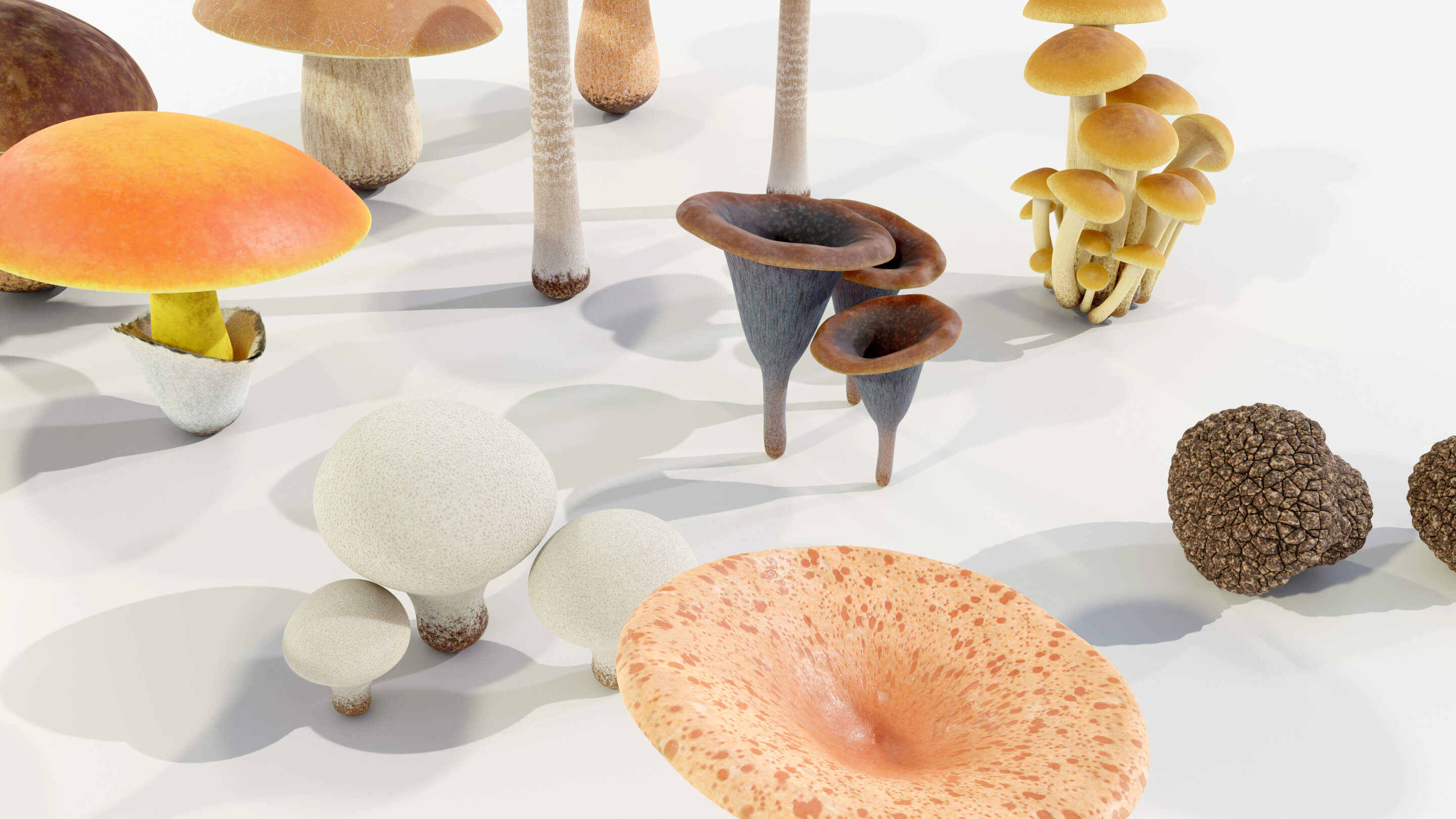 Mushrooms Collection - 3D Model by 3Dmae