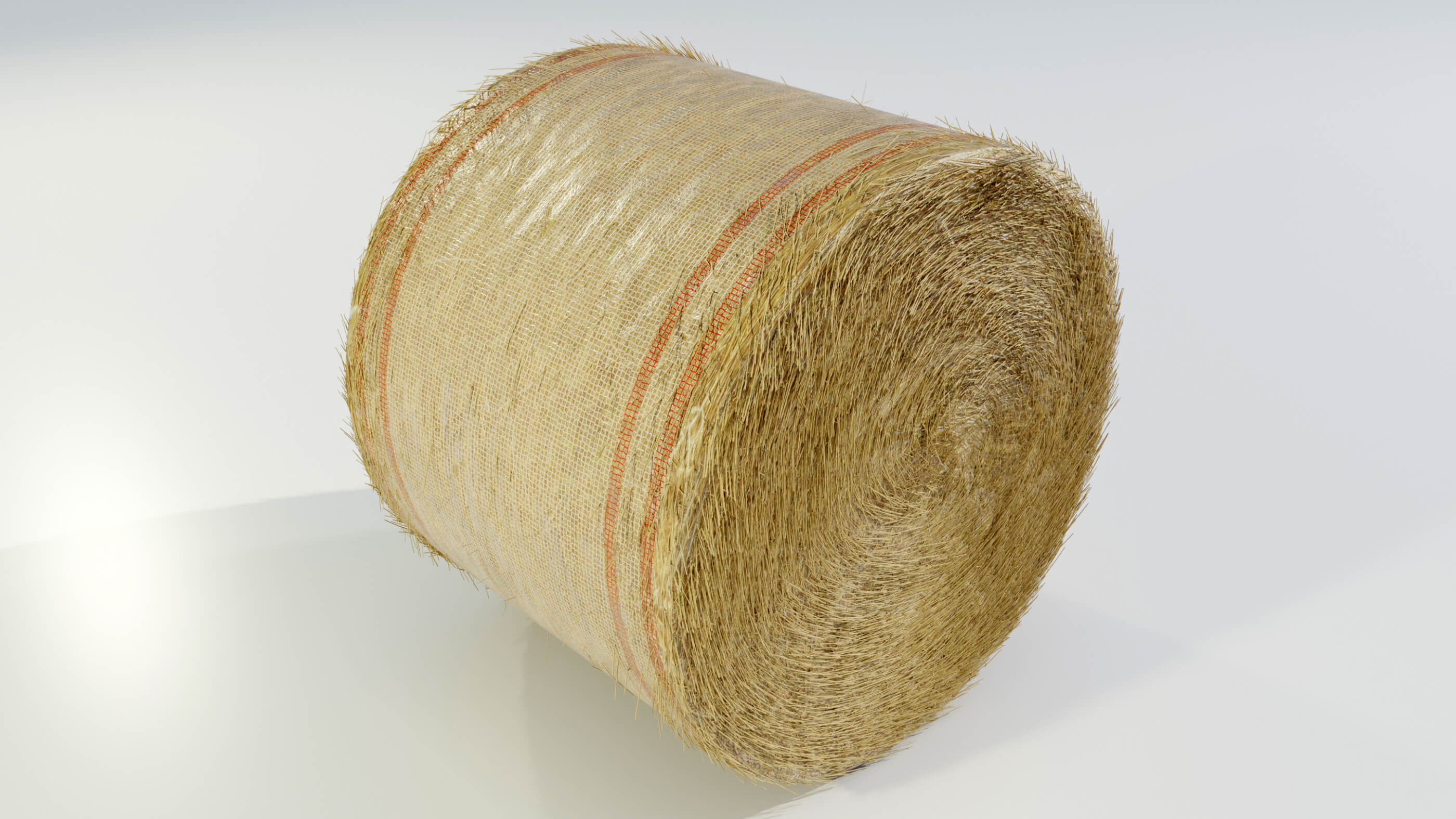 Round Hay Bale - 3D Model by 3Dmae