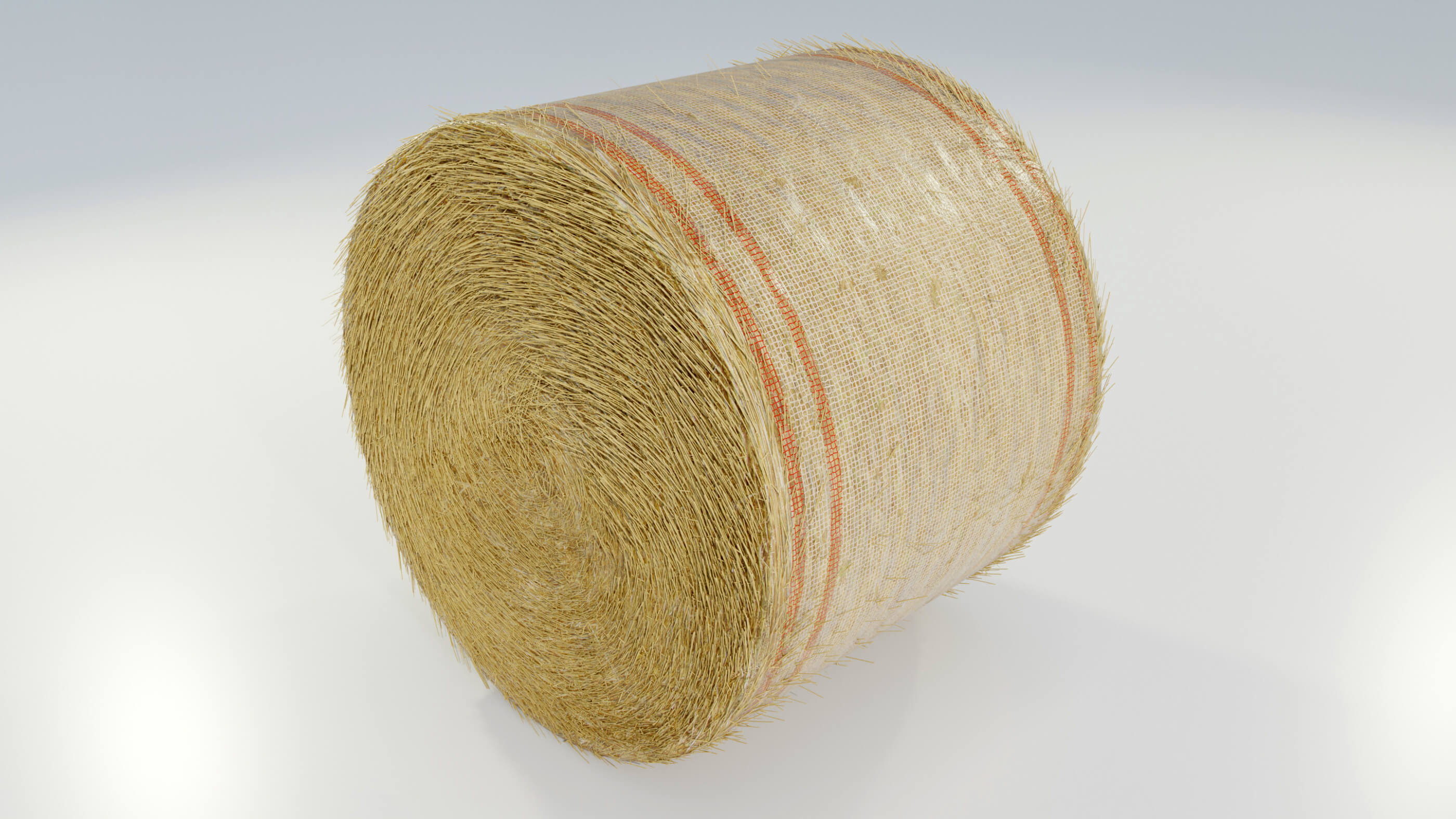 Round Hay Bale - 3D Model by 3Dmae