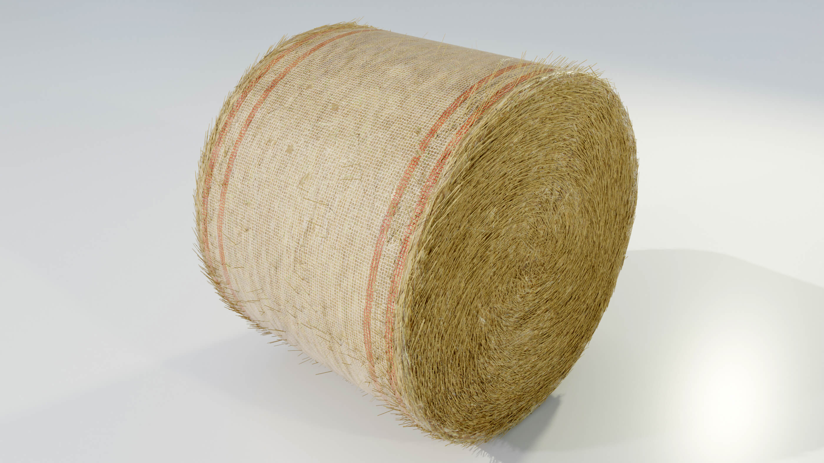 Round Hay Bale - 3D Model by 3Dmae