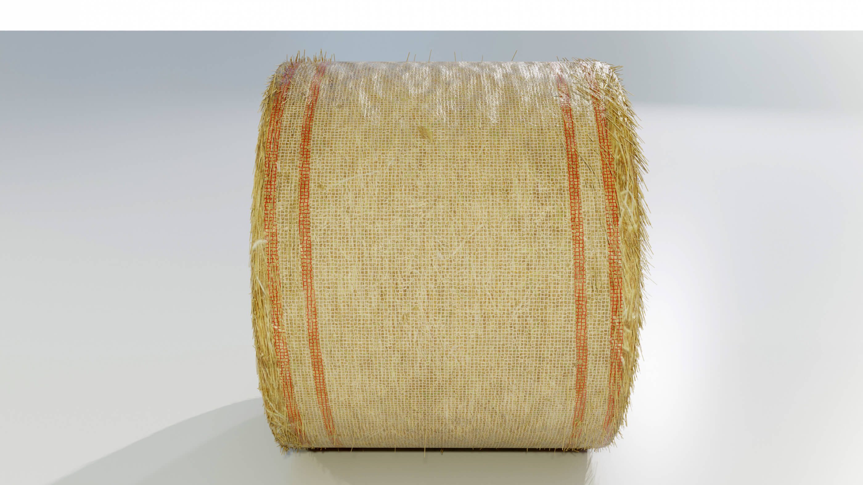 Round Hay Bale - 3D Model by 3Dmae