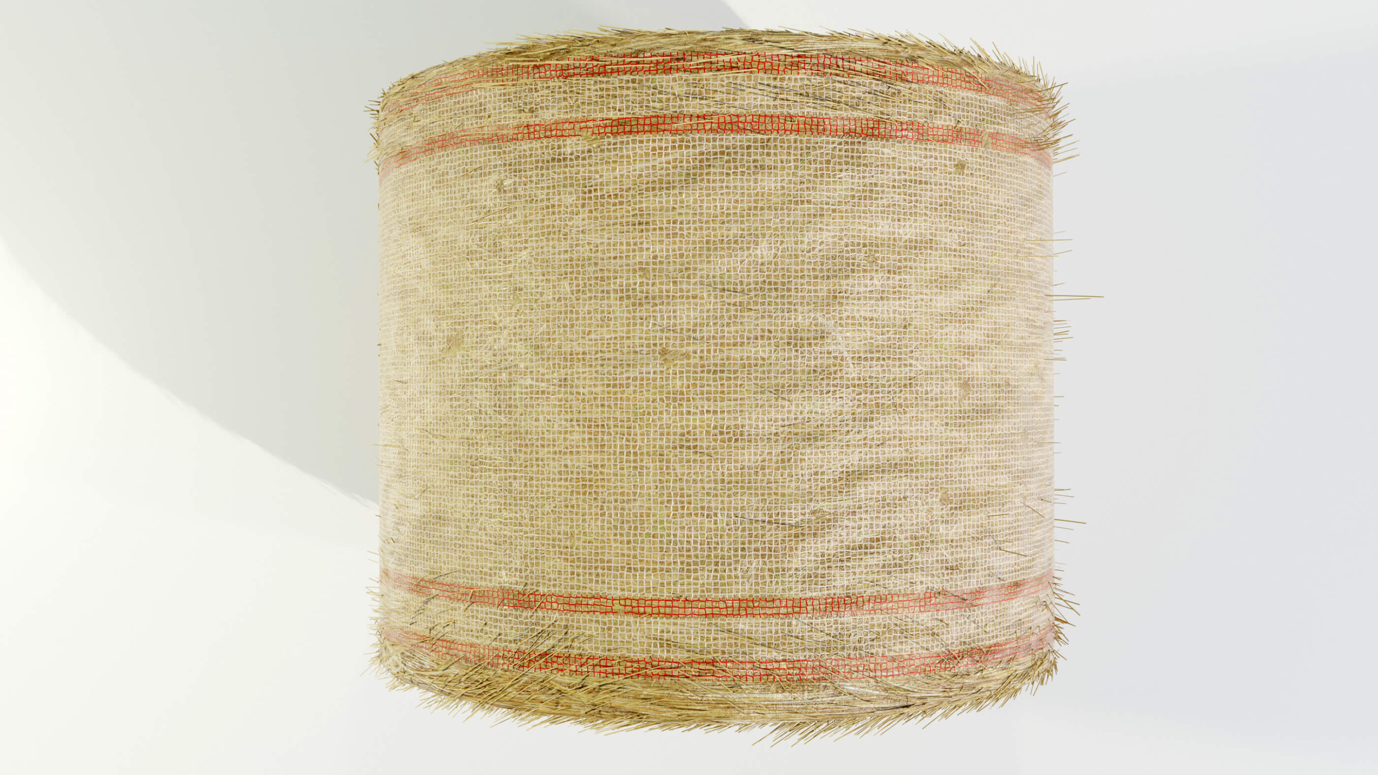 Round Hay Bale - 3D Model by 3Dmae