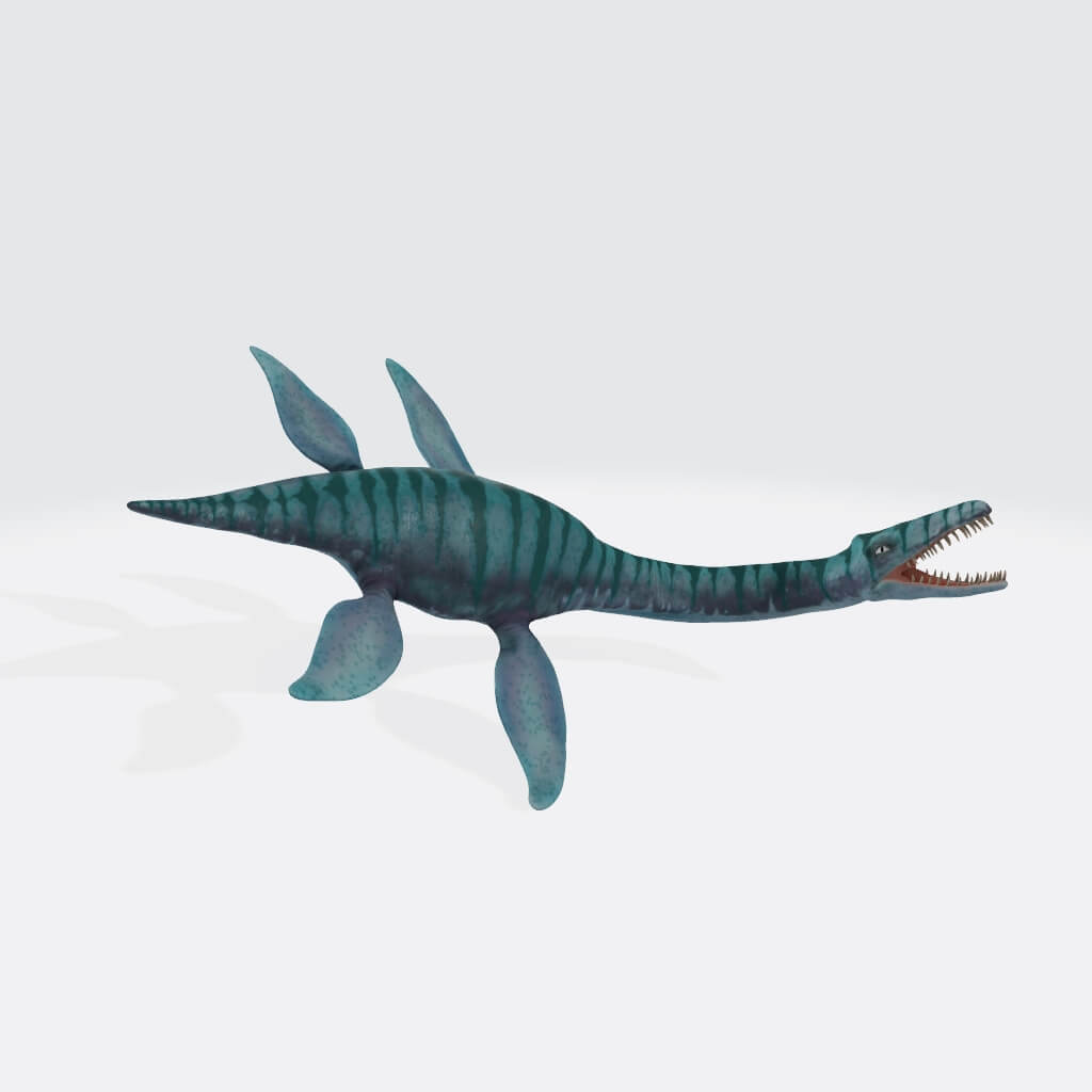Plesiosaurus 3D Model Ready To Print by 3dmodelprint96