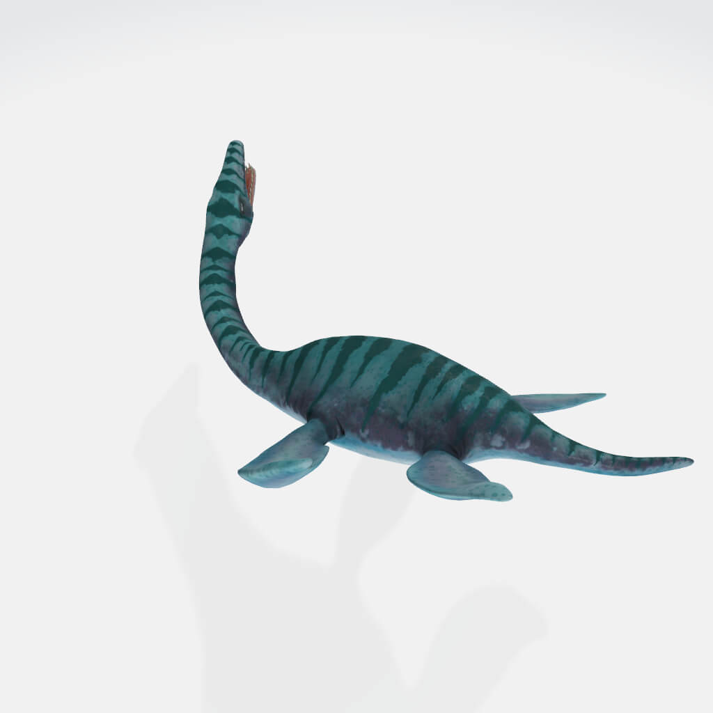 Plesiosaurus 3D Model Ready To Print by 3dmodelprint96