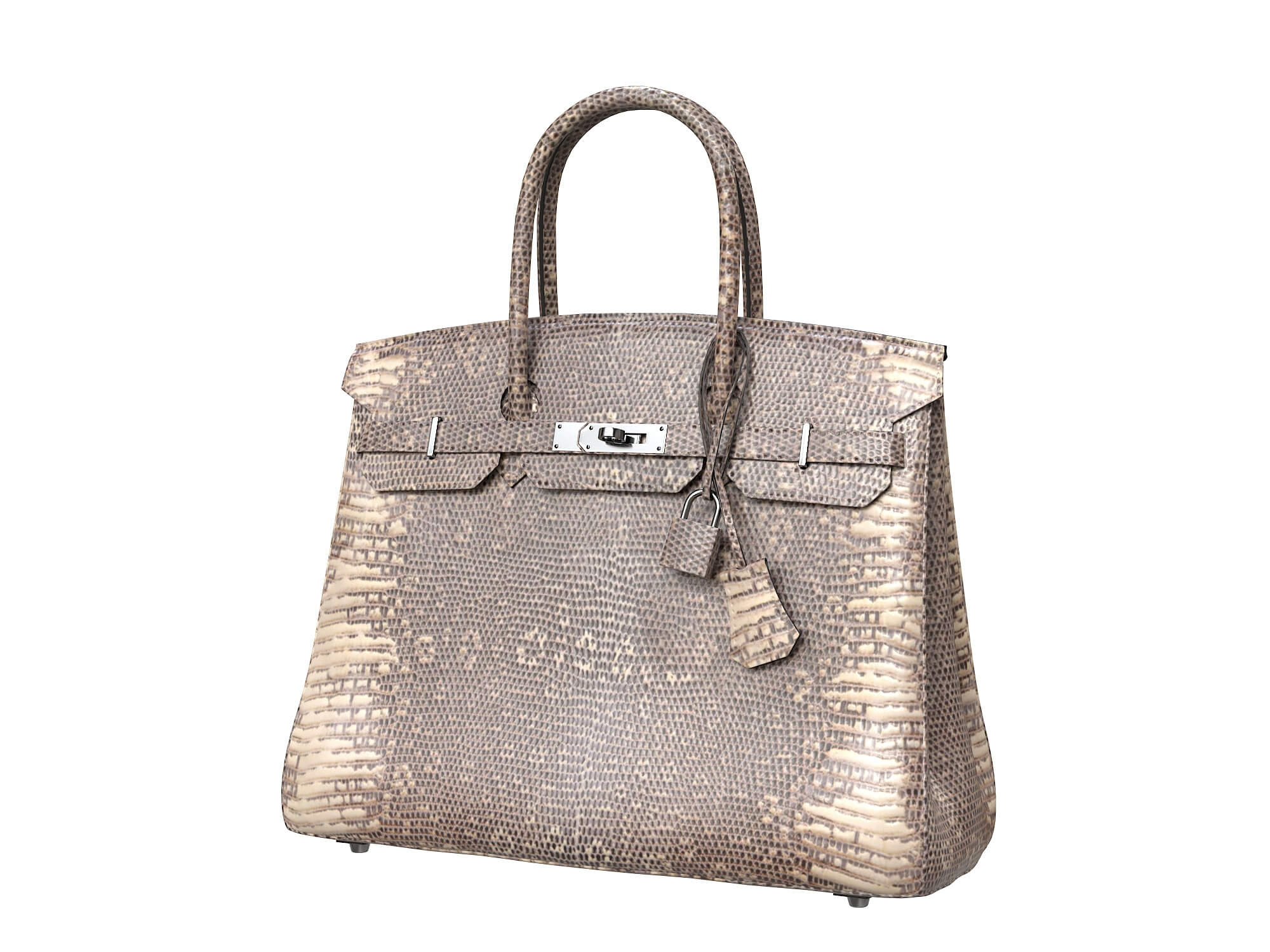 Hermes Birkin Bag Snake Leather - 3D Model by 3dmonk