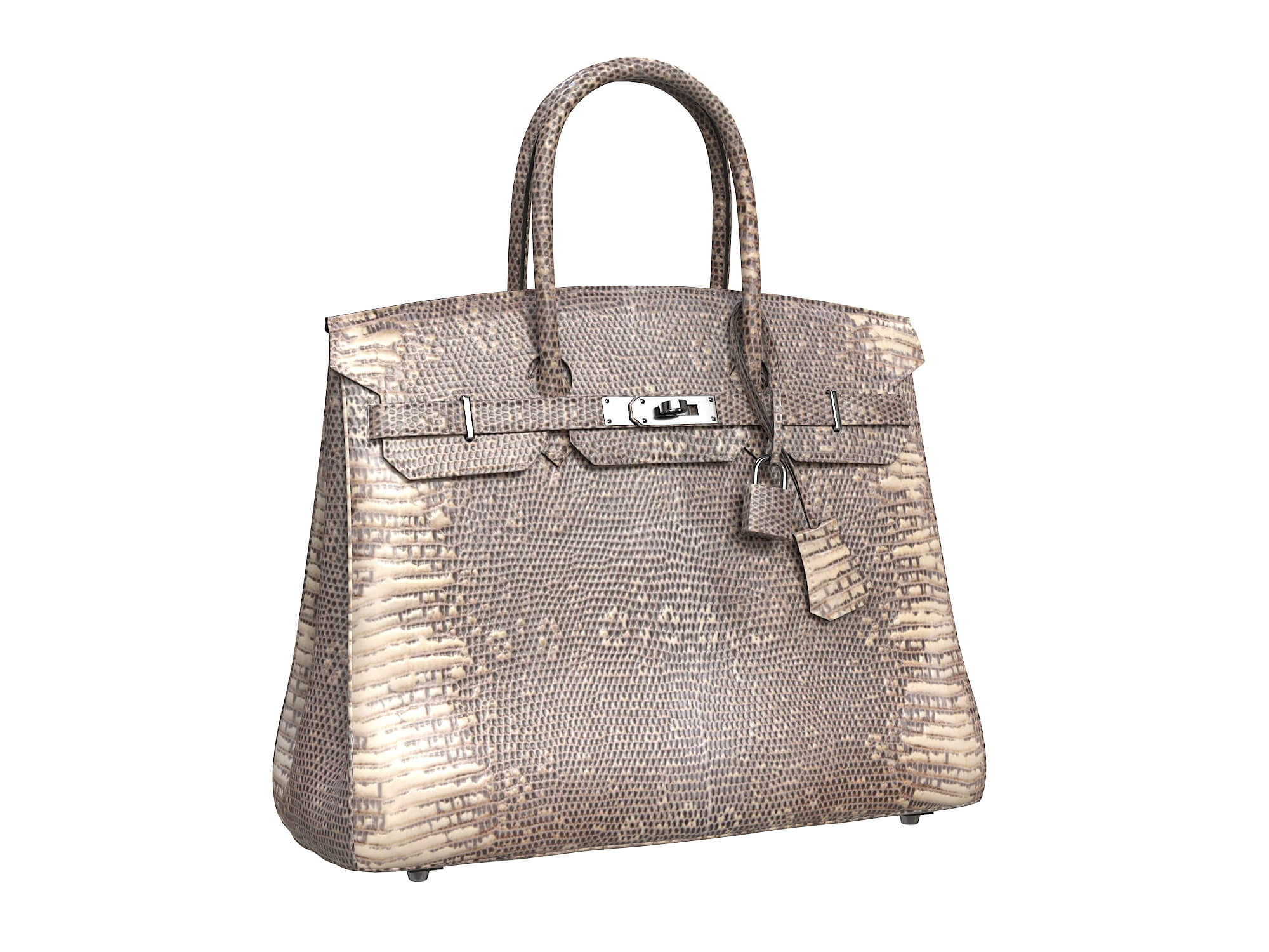 Hermes Birkin Bag Snake Leather - 3D Model by 3dmonk