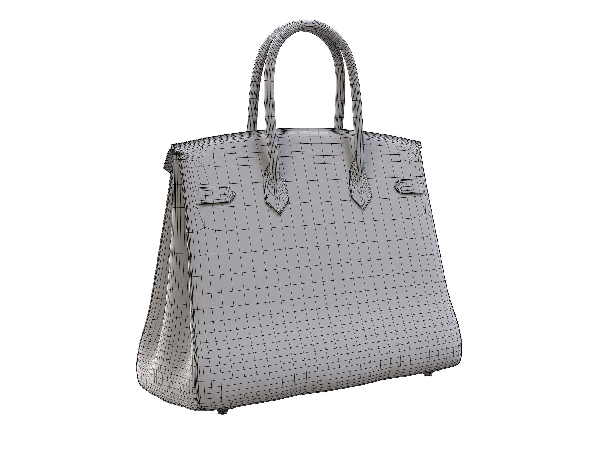 Hermes Birkin Bag Snake Leather - 3D Model by 3dmonk