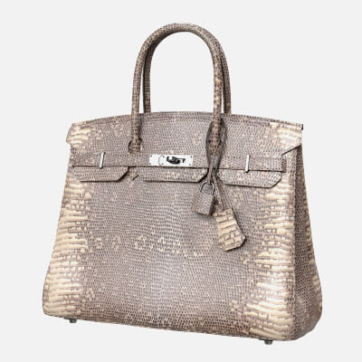 Hermes Birkin Bag Snake Leather - 3D Model by 3dmonk