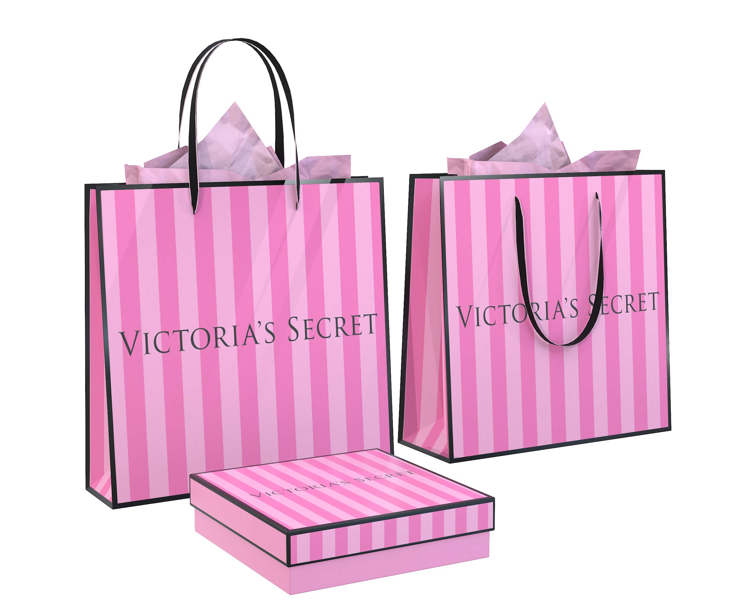 Victorias Secret Gift Bag and Box - 3D Model by 3dmonk