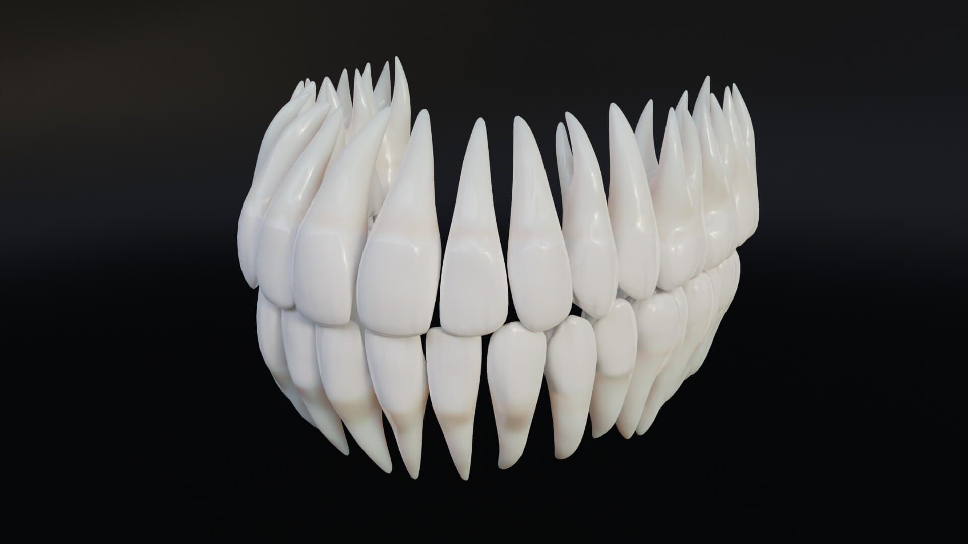 Clean Human Teeth Realistic and Detailed Low Poly 3D Model by 3DPolyForge