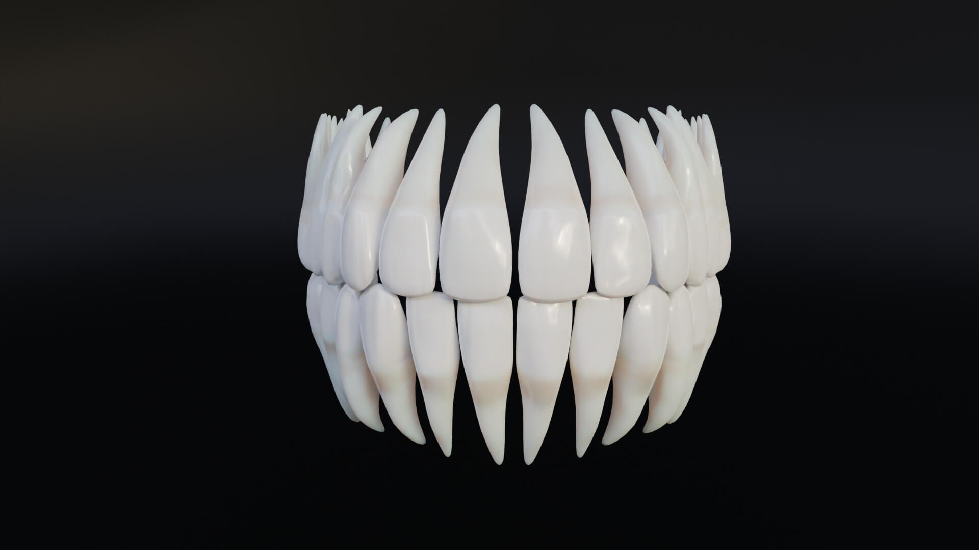 Clean Human Teeth Realistic and Detailed Low Poly 3D Model by 3DPolyForge
