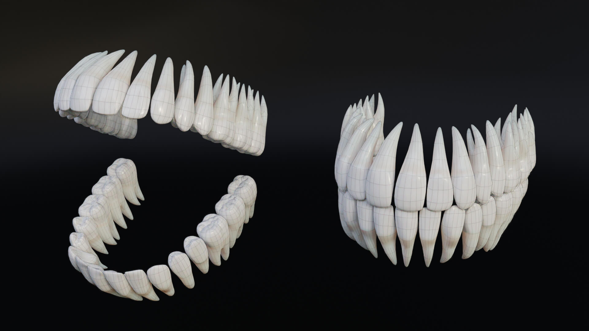 Clean Human Teeth Realistic and Detailed Low Poly 3D Model by 3DPolyForge