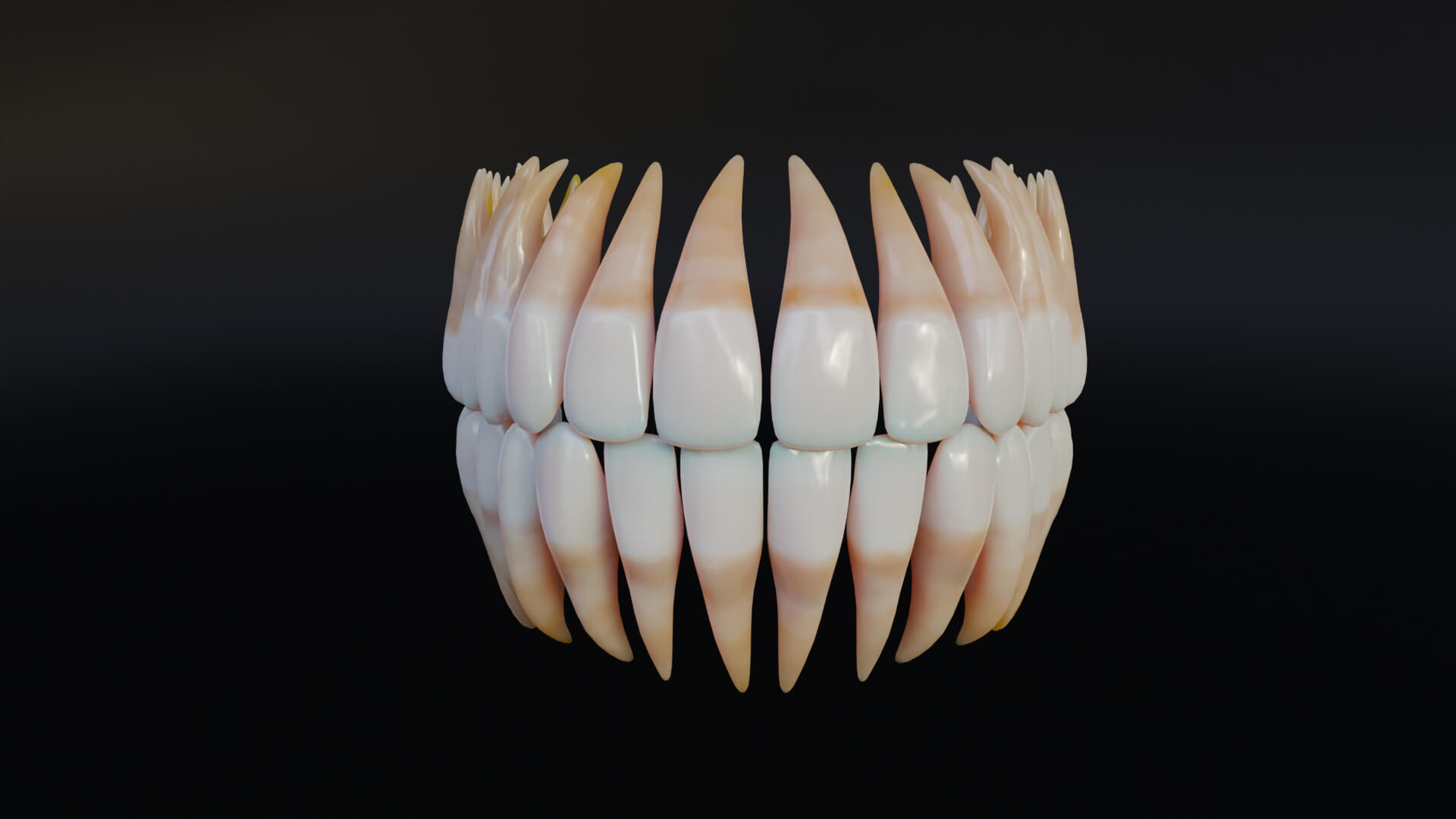 Dirty Human Teeth Realistic and Detailed Low Poly 3D Model by 3DPolyForge