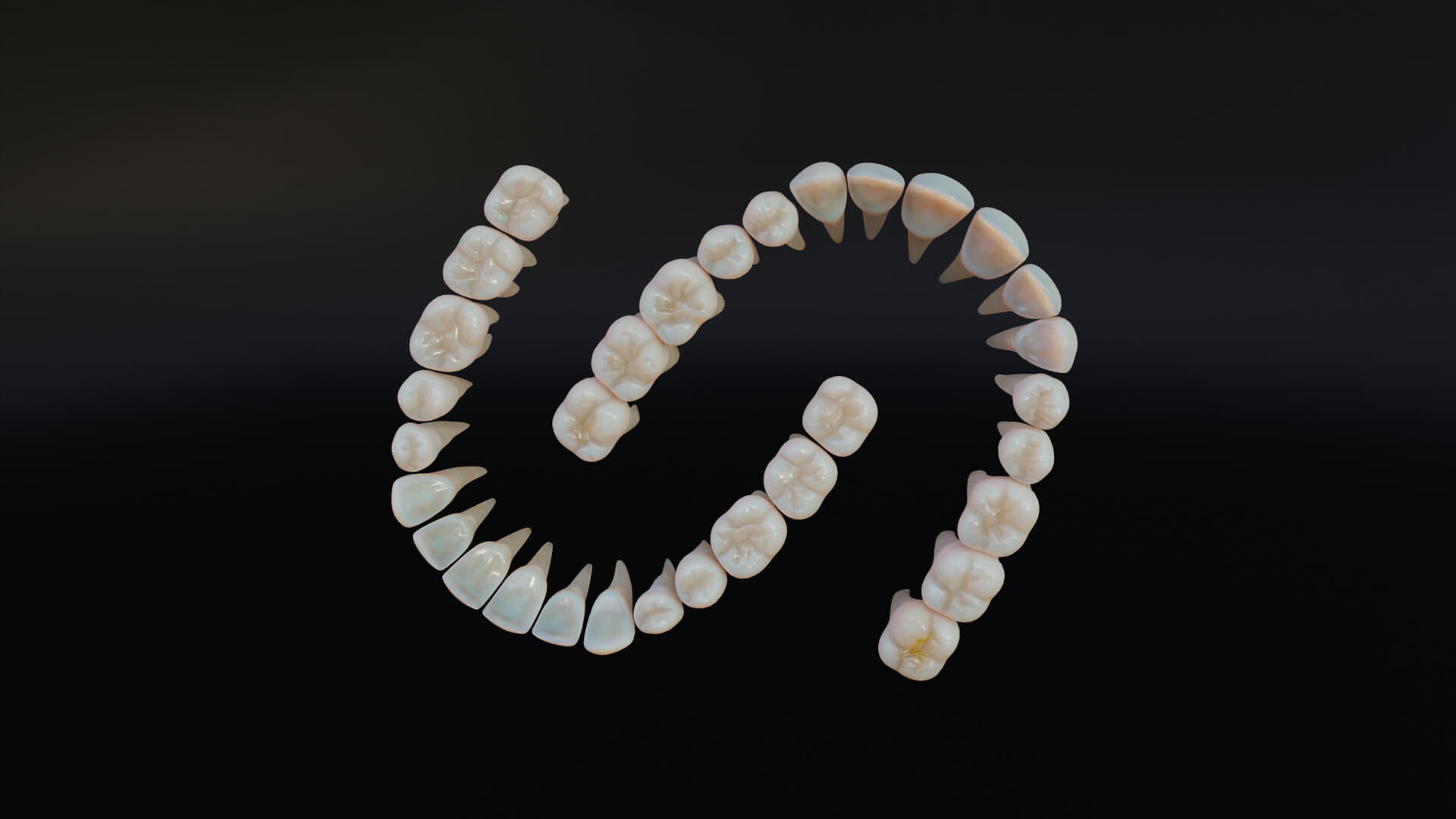 Dirty Human Teeth Realistic and Detailed Low Poly 3D Model by 3DPolyForge