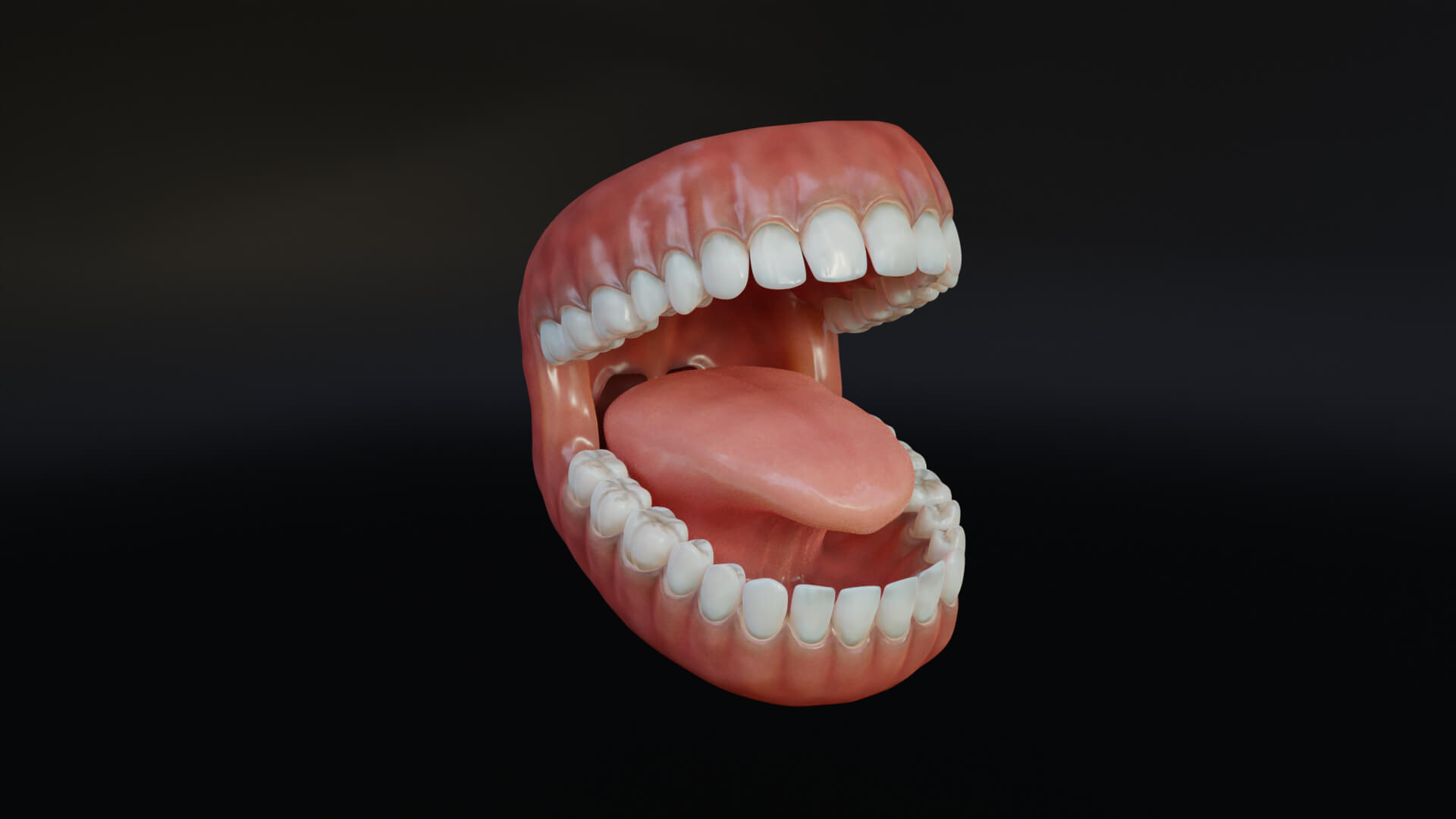 Human Mouth With Teeth Tongue and Gums - Rigged Low Poly 3D by 3DPolyForge
