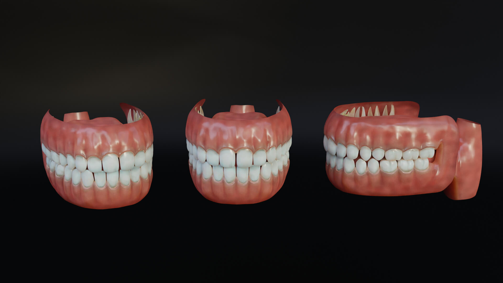 Human Mouth With Teeth Tongue and Gums - Rigged Low Poly 3D by 3DPolyForge