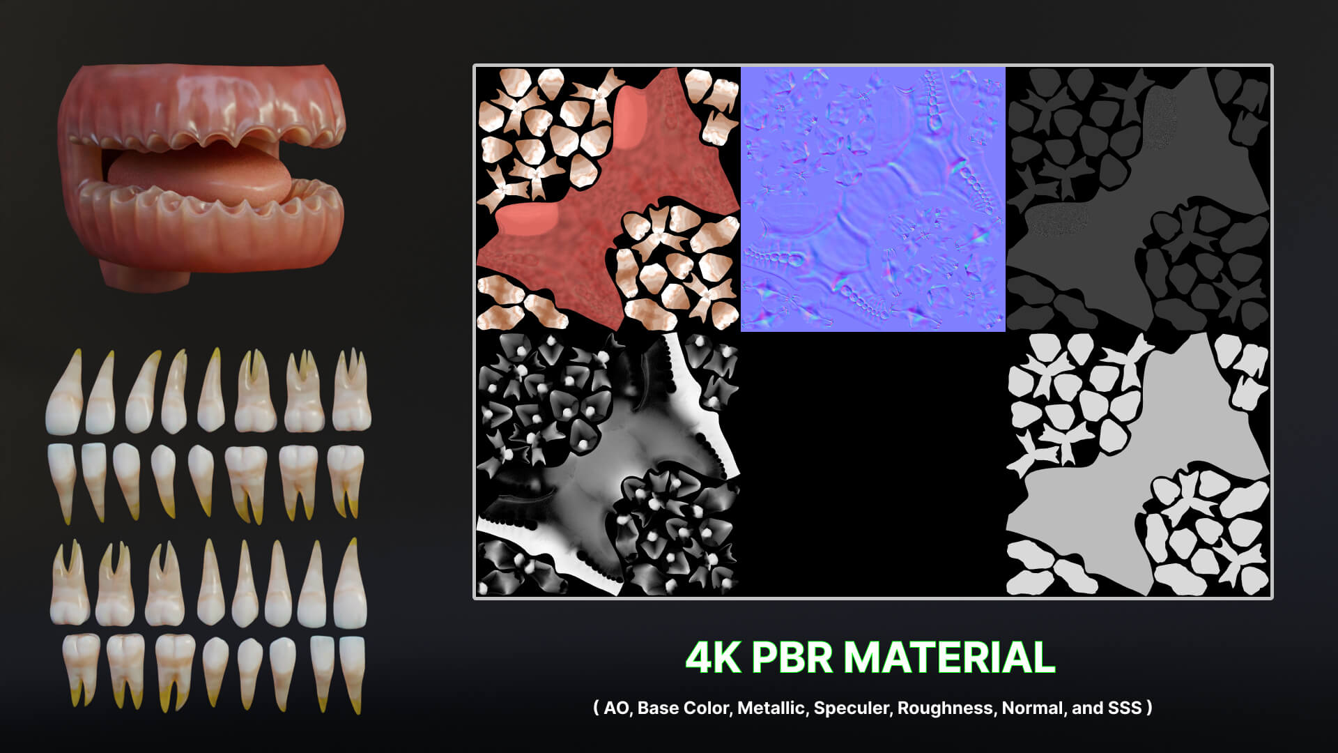 Human Mouth With Teeth Tongue and Gums - Rigged Low Poly 3D by 3DPolyForge