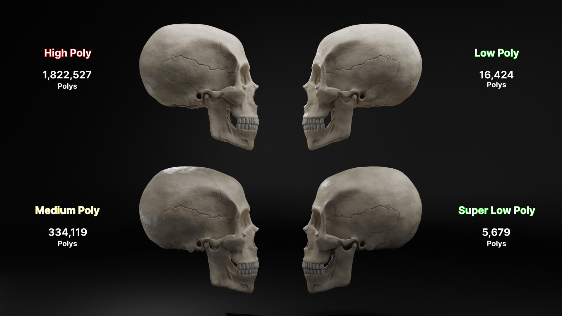 Realistic Human Skull High Poly and Low Poly Versions - 3D Model by ...