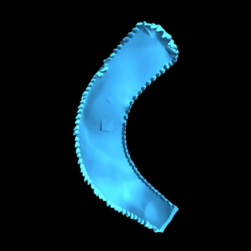 Iceman Bobby - 3D Print Model by 3DPrintingDesigner