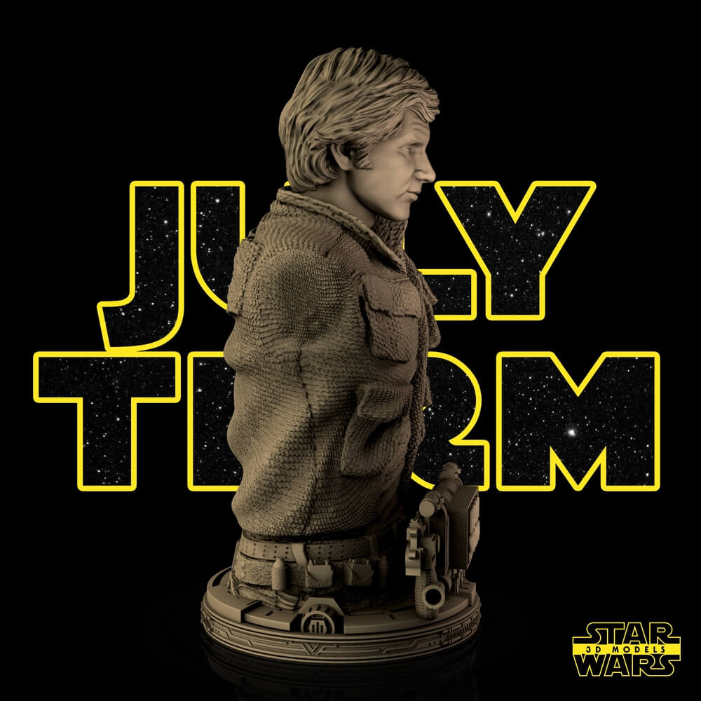 Han Solo Bust - 3D Model by 3dprintmodel91