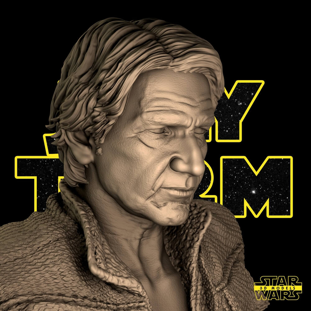 Han Solo Bust - 3D Model by 3dprintmodel91