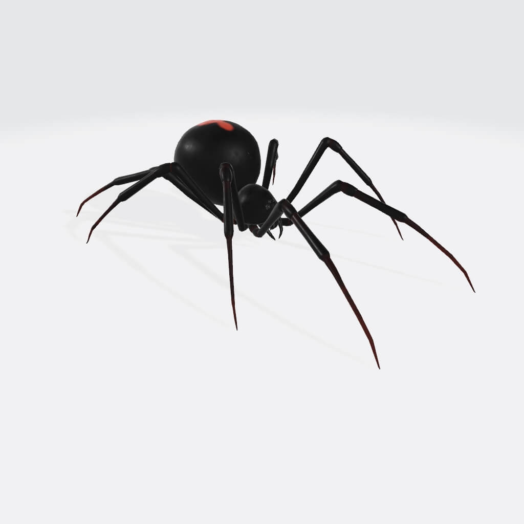 Black Widow Spider - 3D Print Model by 3dprintmodelSG